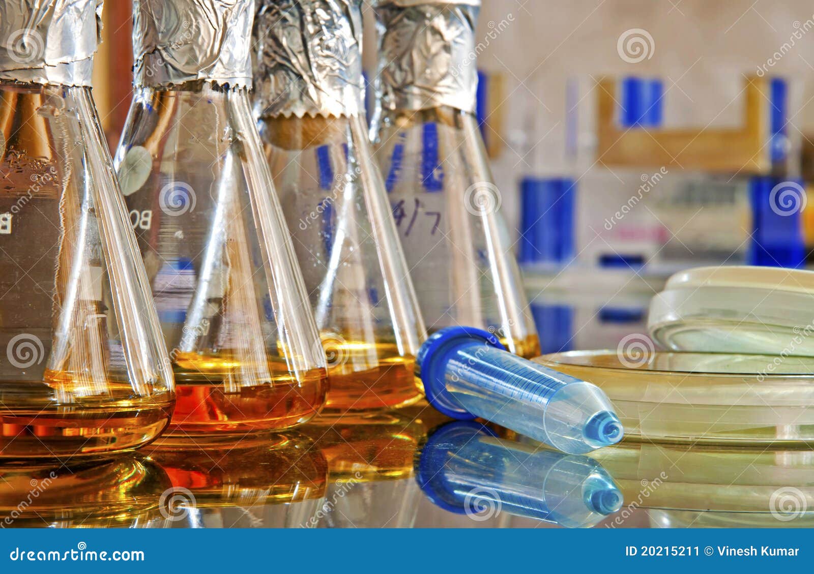 Laboratoire De Microbiologie Image stock - Image du docteur ...