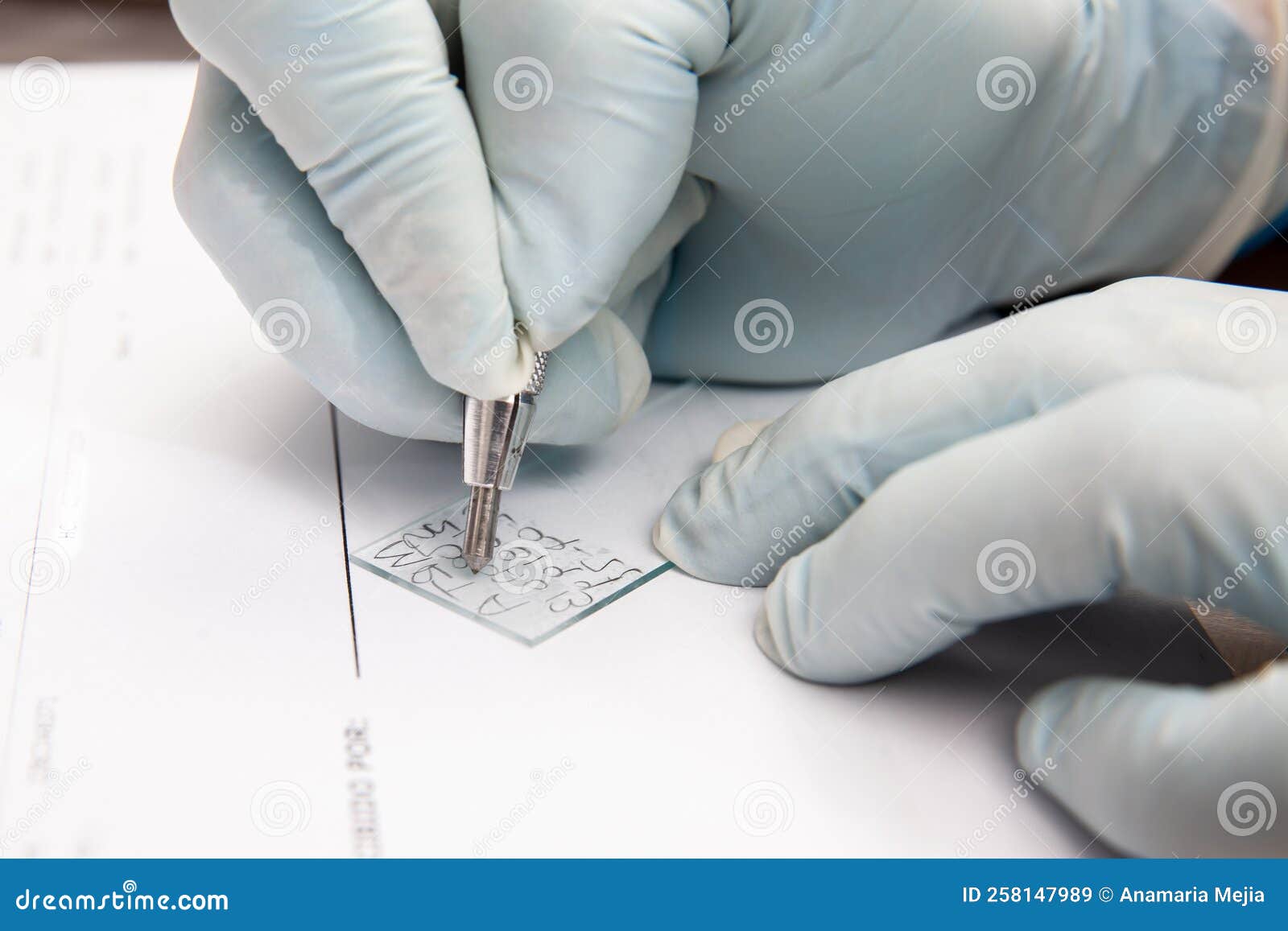Laboratorian Labelling a Microscope Slide Using a Diamond Tip Pencil ...
