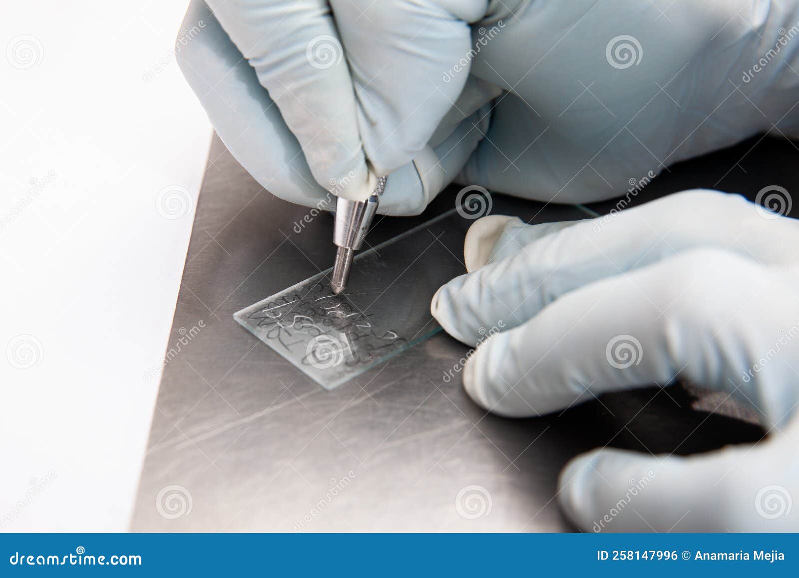 Laboratorian Labelling a Microscope Slide Using a Diamond Tip Pencil ...