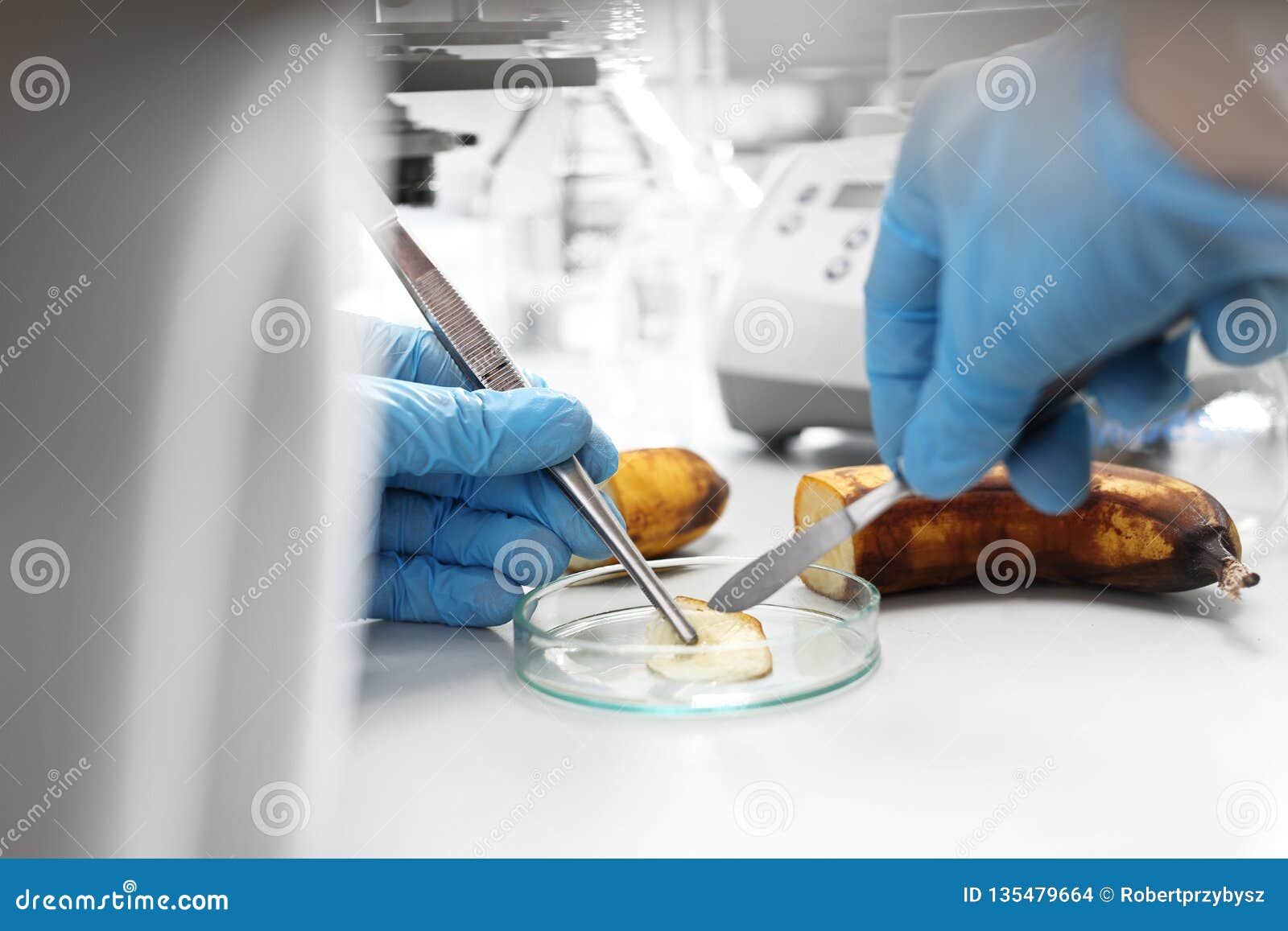 Laboratorio, Prueba De La Comida Foto de archivo - Imagen de frutas ...