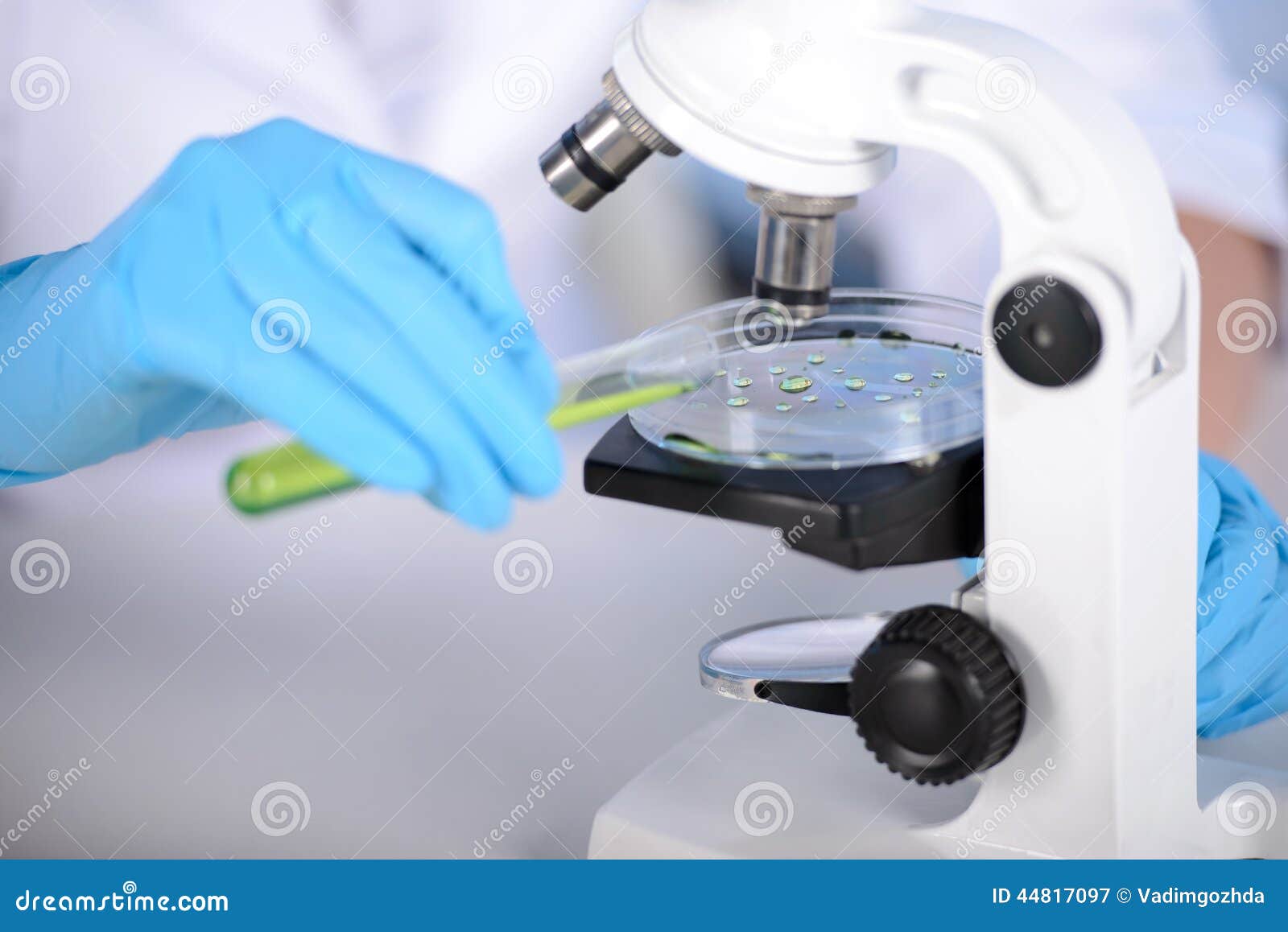 Laboratorium stock afbeelding. Image of microbiologie - 44817097