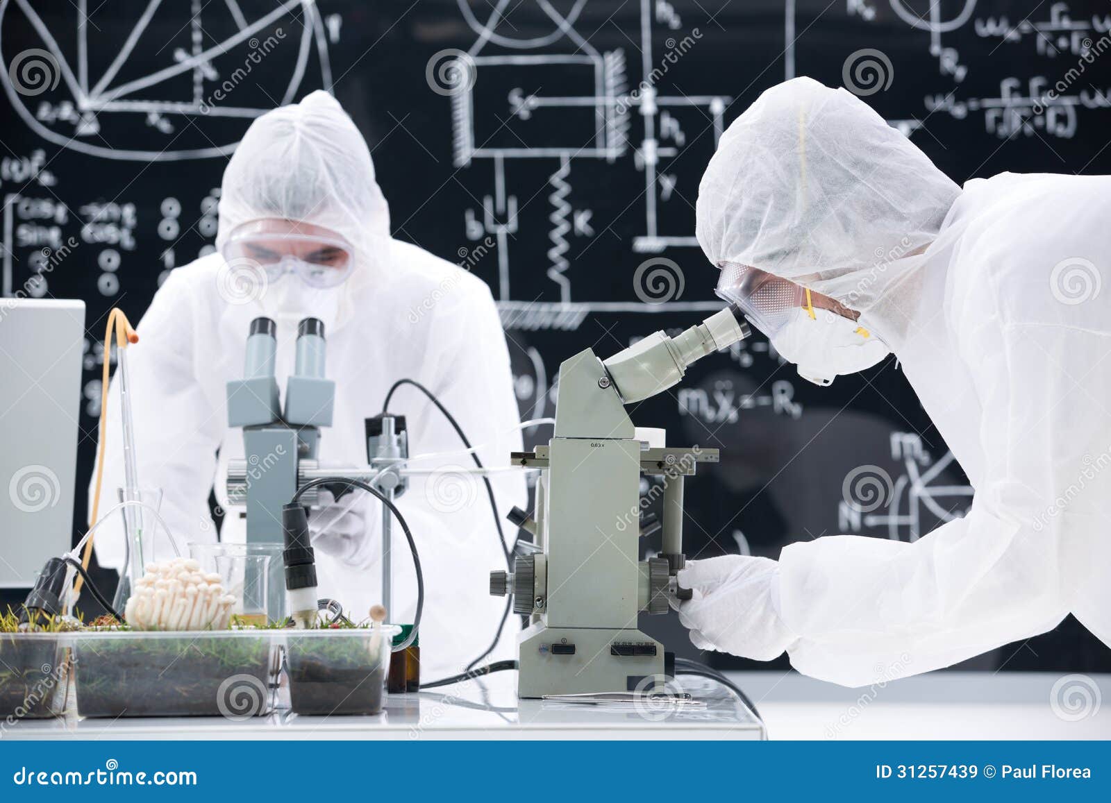 Laboratorium Chemische Analyse Stock Afbeelding - Image of ontdekking ...