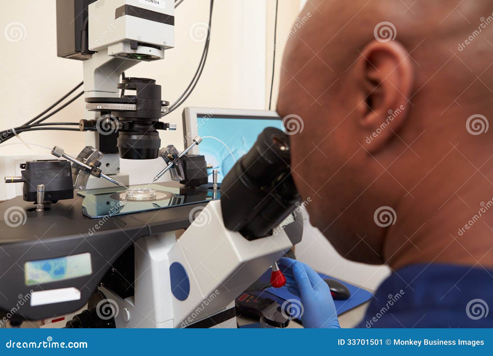 Laboratoriumbemesting Van Eieren in IVF-Behandeling Stock Afbeelding ...