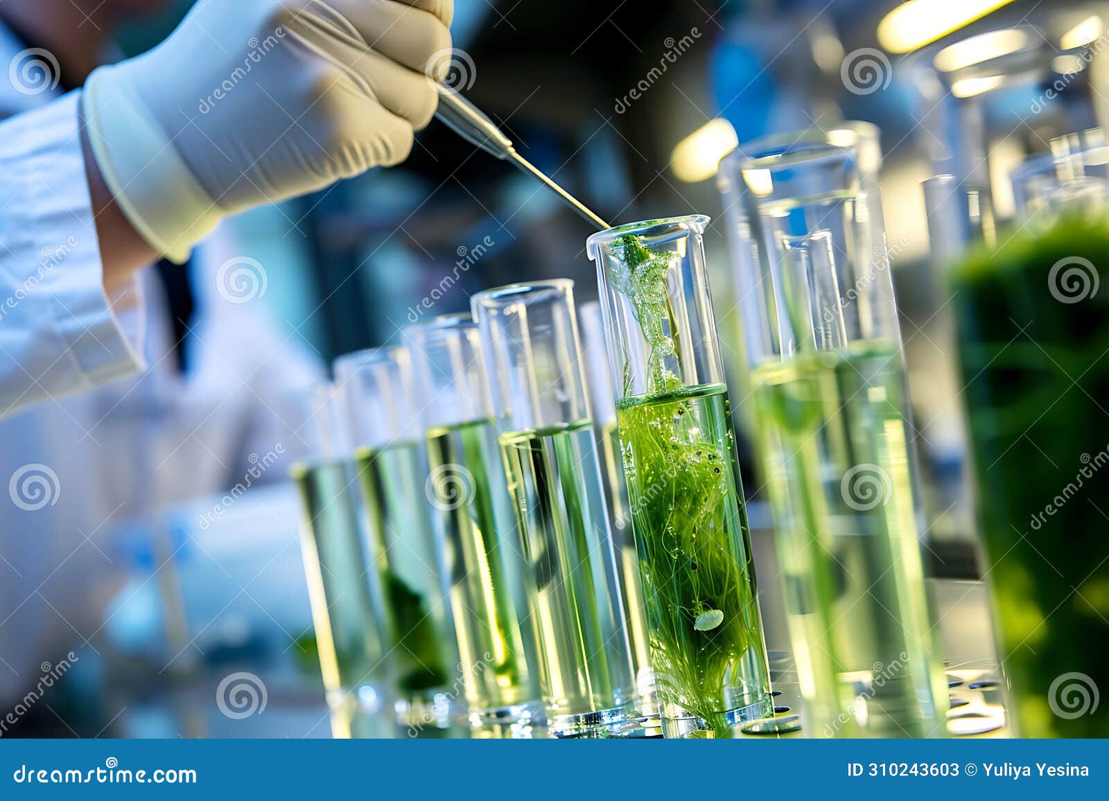 Laboratory Analysis of Algae for Nutrient Content Stock Image - Image ...
