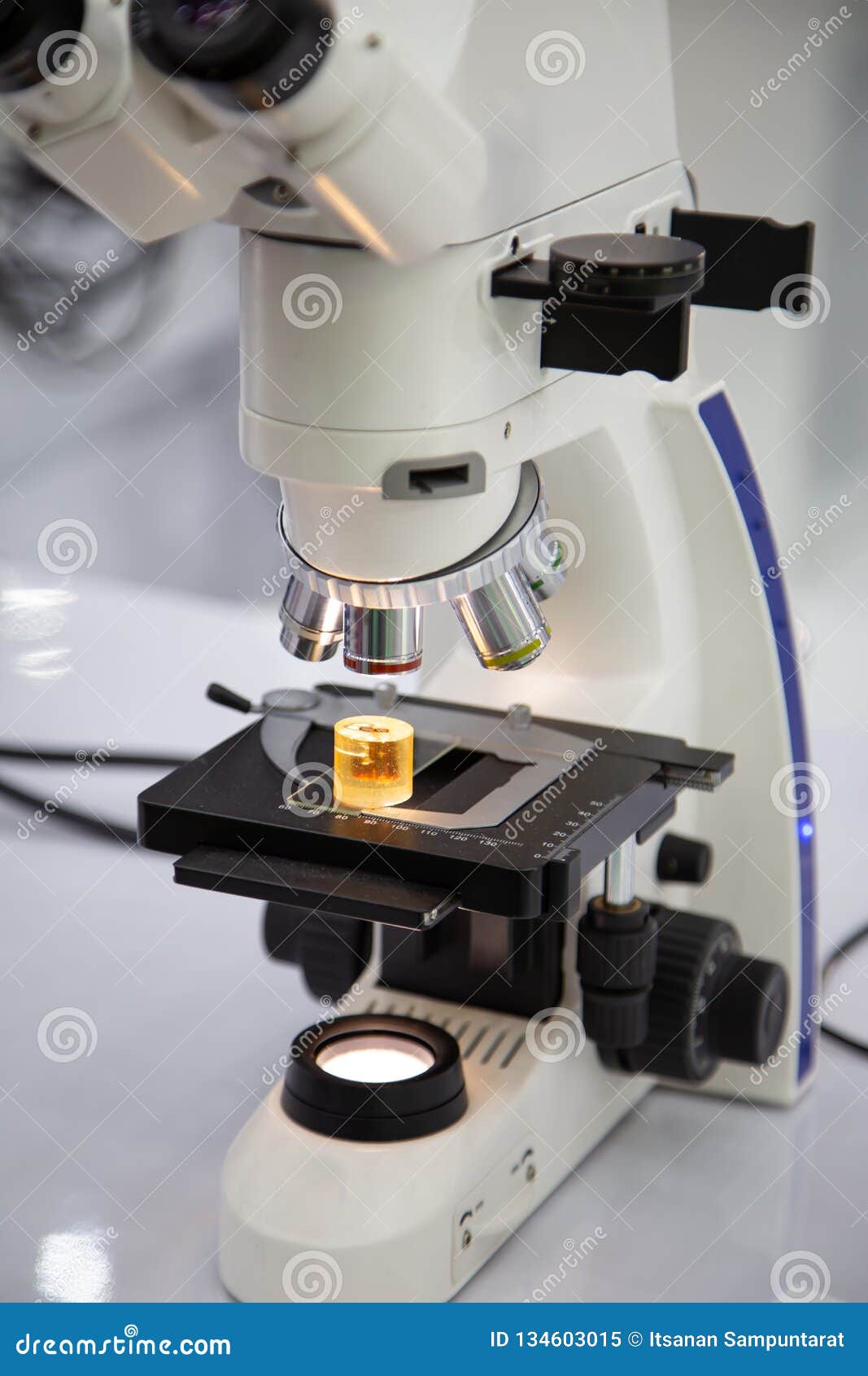 Laboratory Analysis Microscope Stock Image - Image of observation ...
