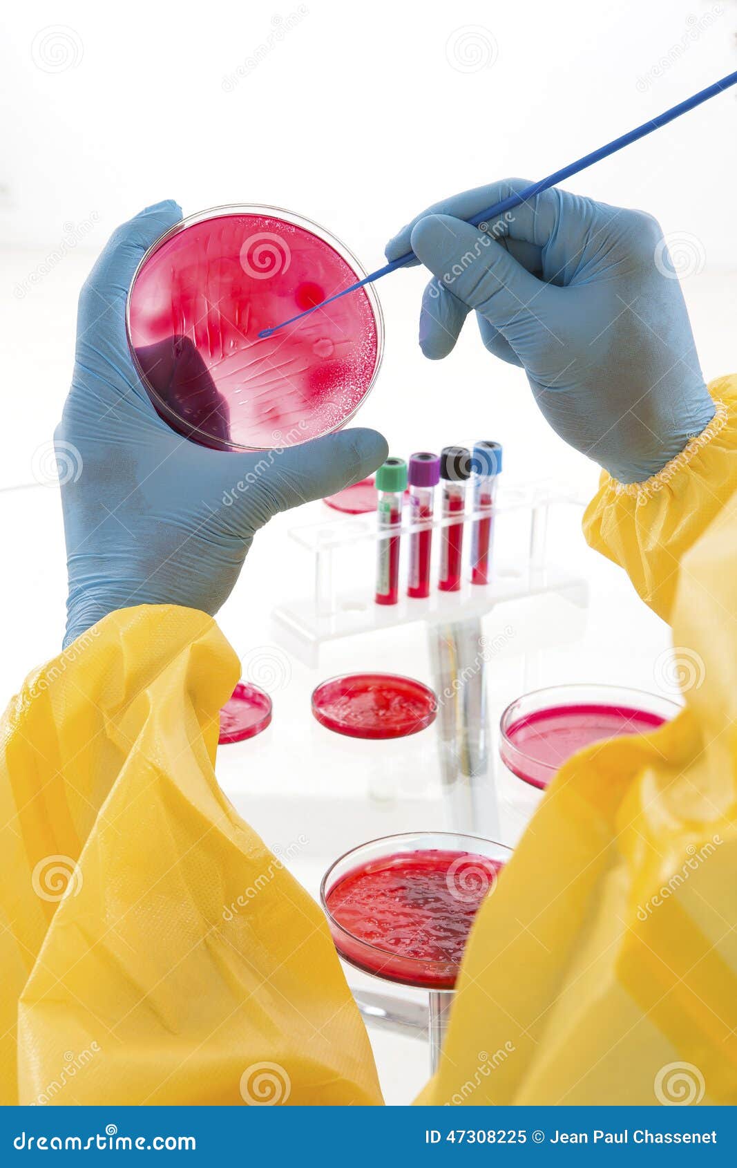 LABORATORY ANALYSIS stock image. Image of glove, petri - 47308225