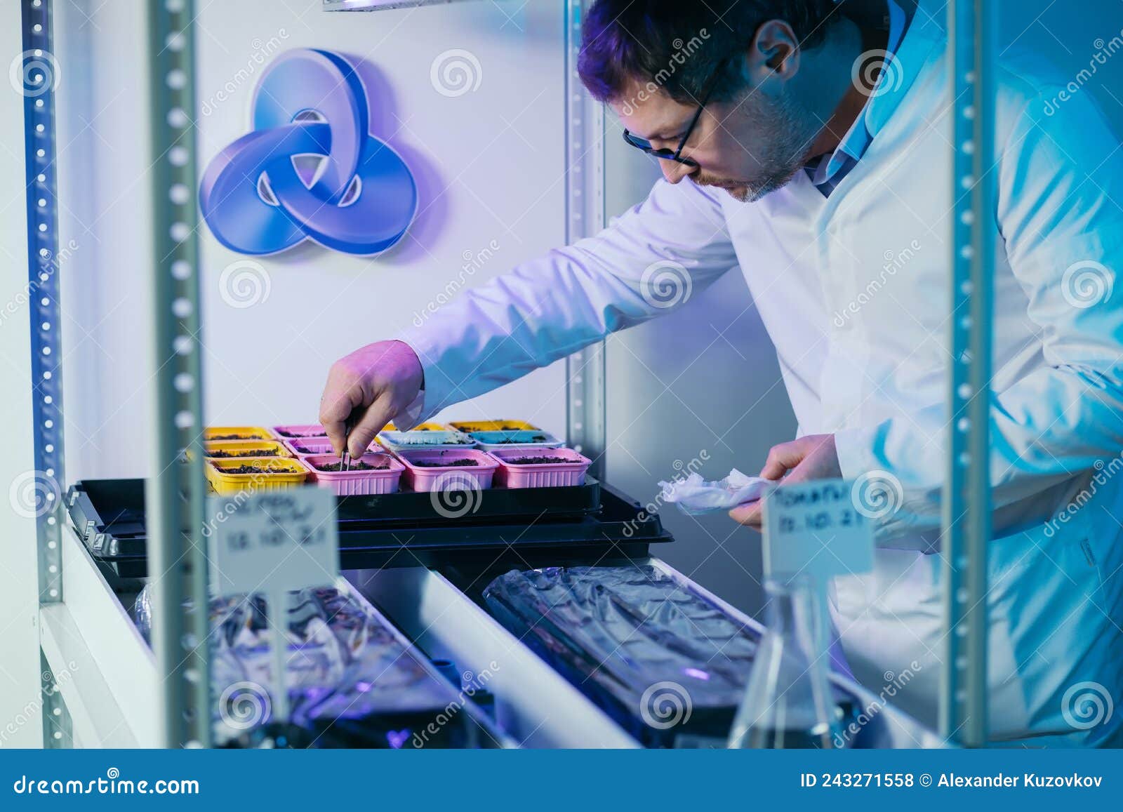 Laboratory Assistant in the Laboratory of of Food Quality Stock Photo ...
