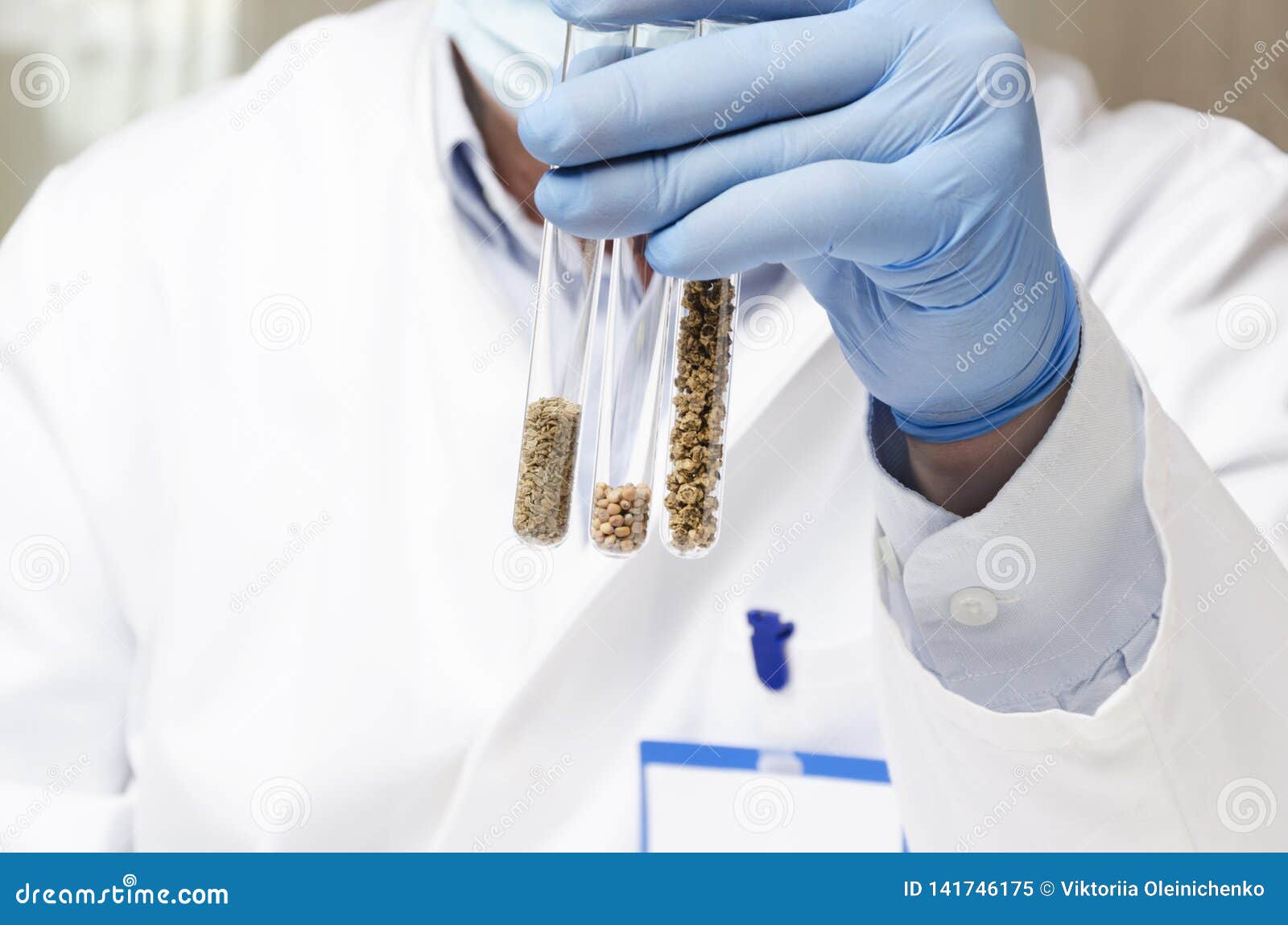 Laboratory Assistant Holding Test Tubes with Different Kinds of Seed ...