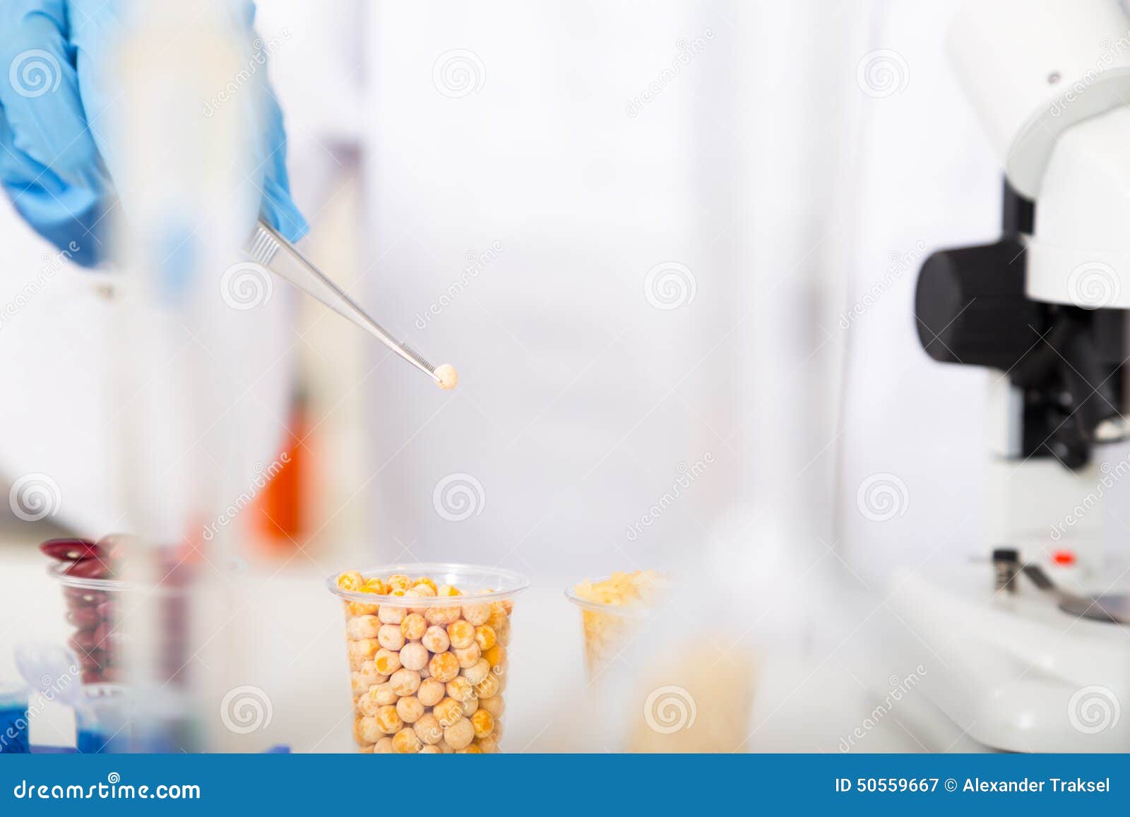 Laboratory Assistant in the Laboratory of Food Quality Stock Image ...
