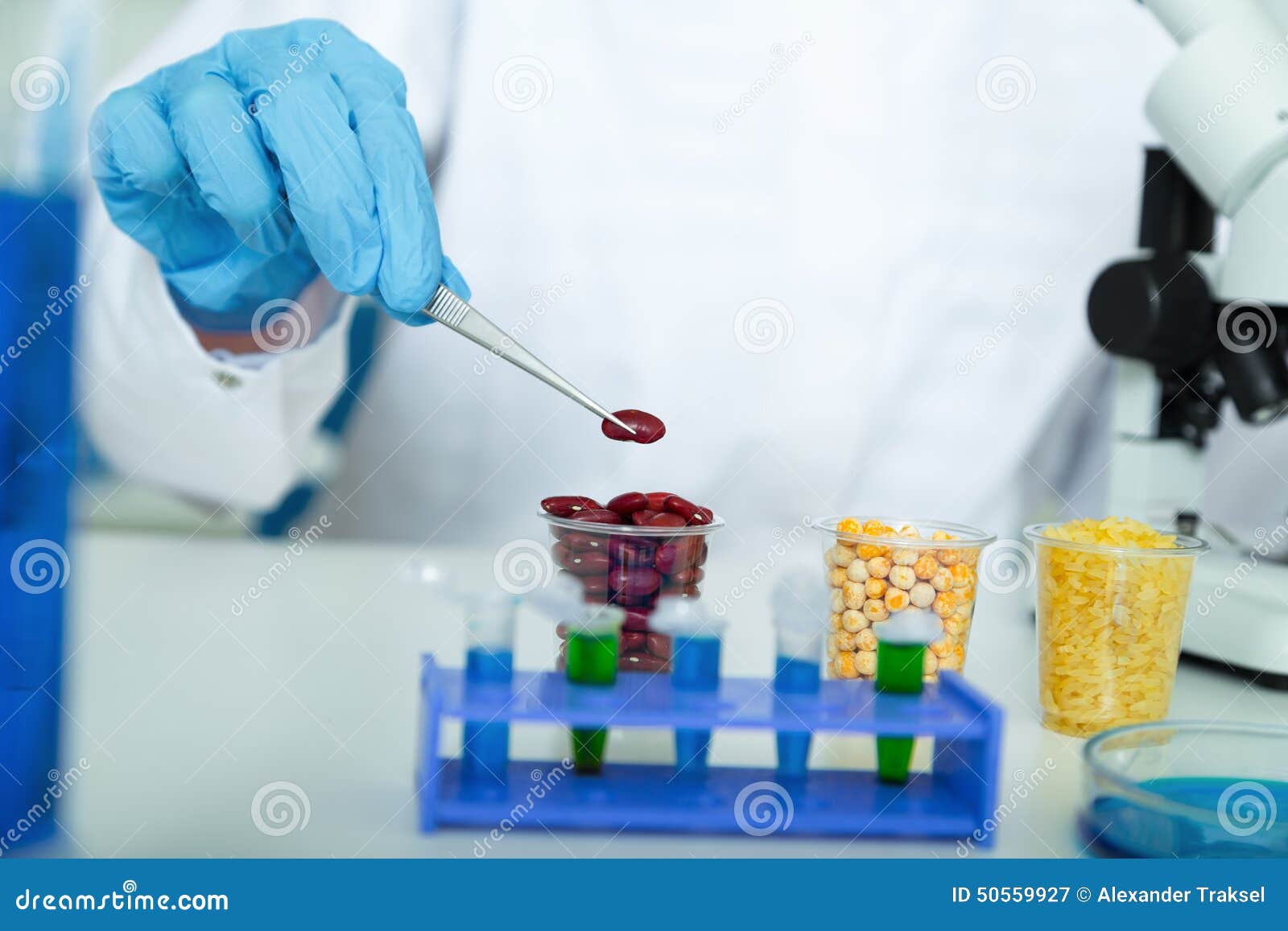 Laboratory Assistant In The Laboratory Of Of Food Quality.Cell Culture ...