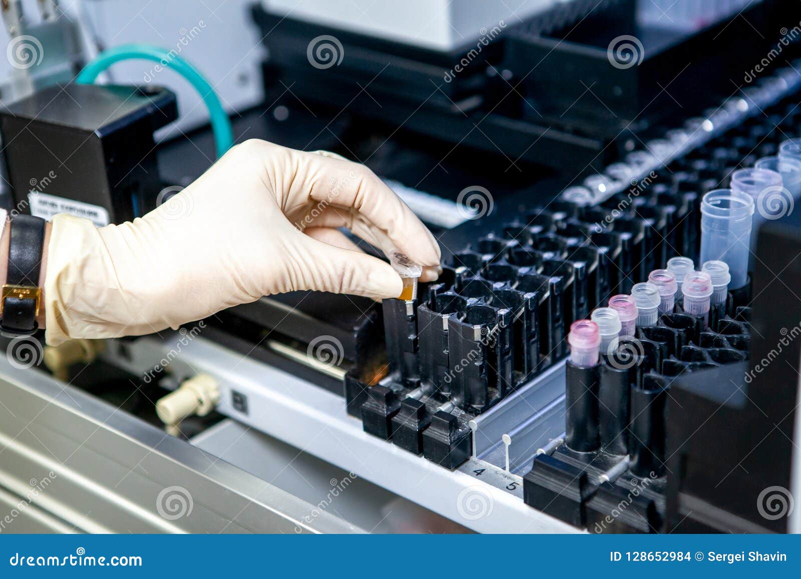 The Laboratory Assistant Places the Sample in the Apparatus for ...