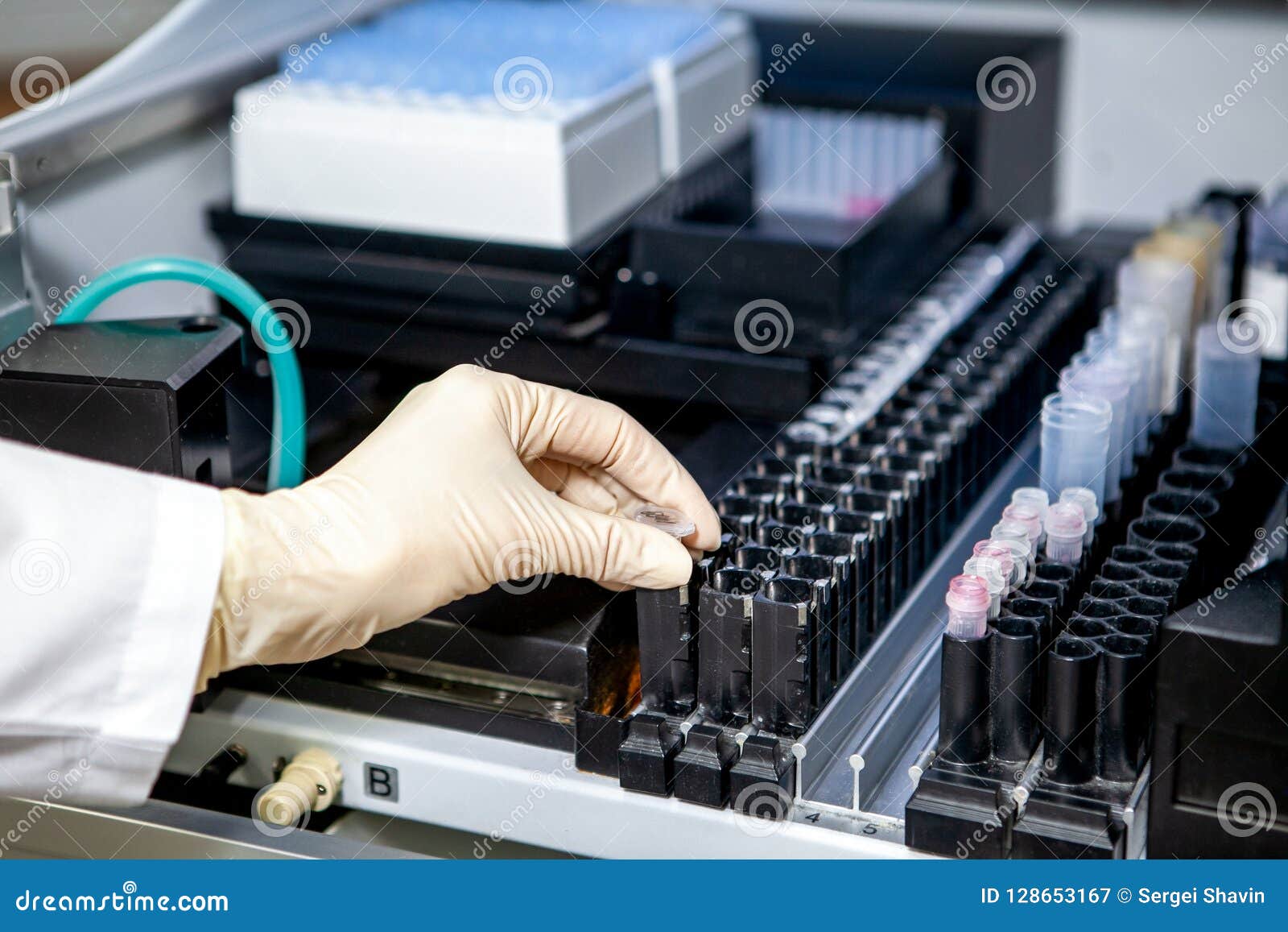 The Laboratory Assistant Places the Sample in the Apparatus for ...
