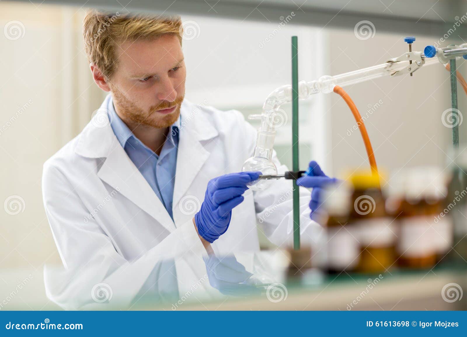 Laboratory Assistant Prepare Instrument for Experiment Stock Photo ...