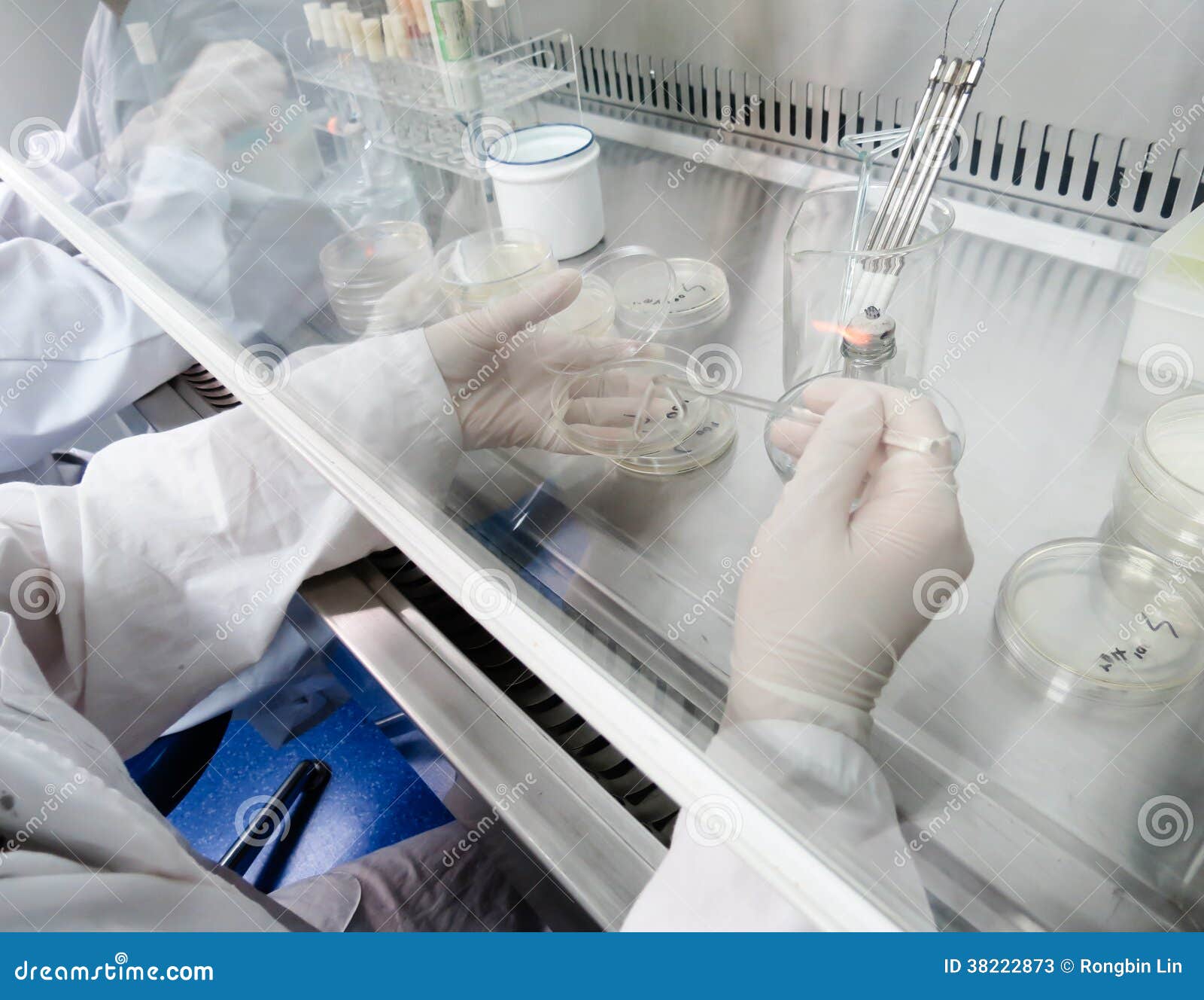 Laboratory Assistant in a Sterile Environment for Micro-sampling Stock ...