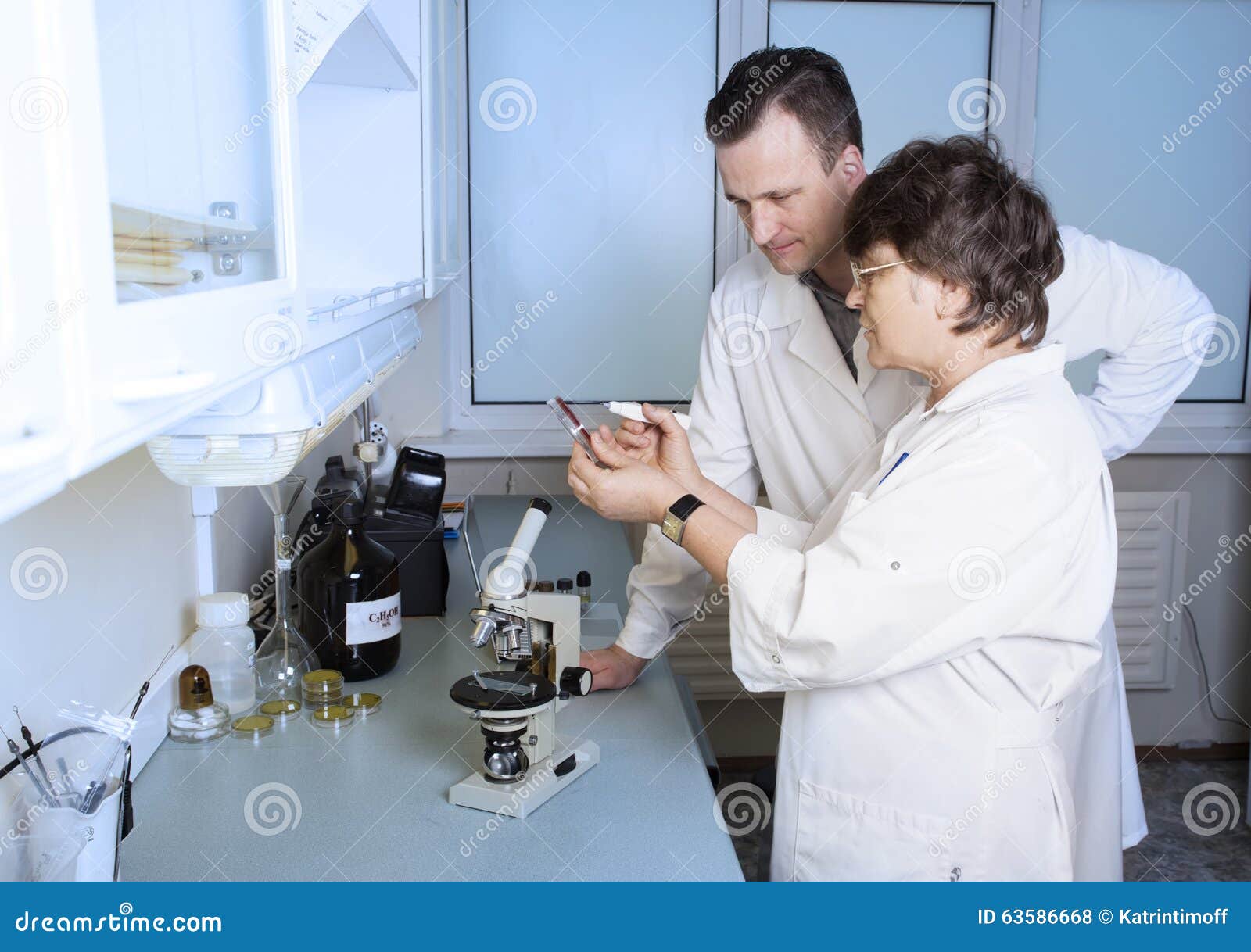 Laboratory Assistant Study Petri Stock Photo - Image of beaker, flask ...