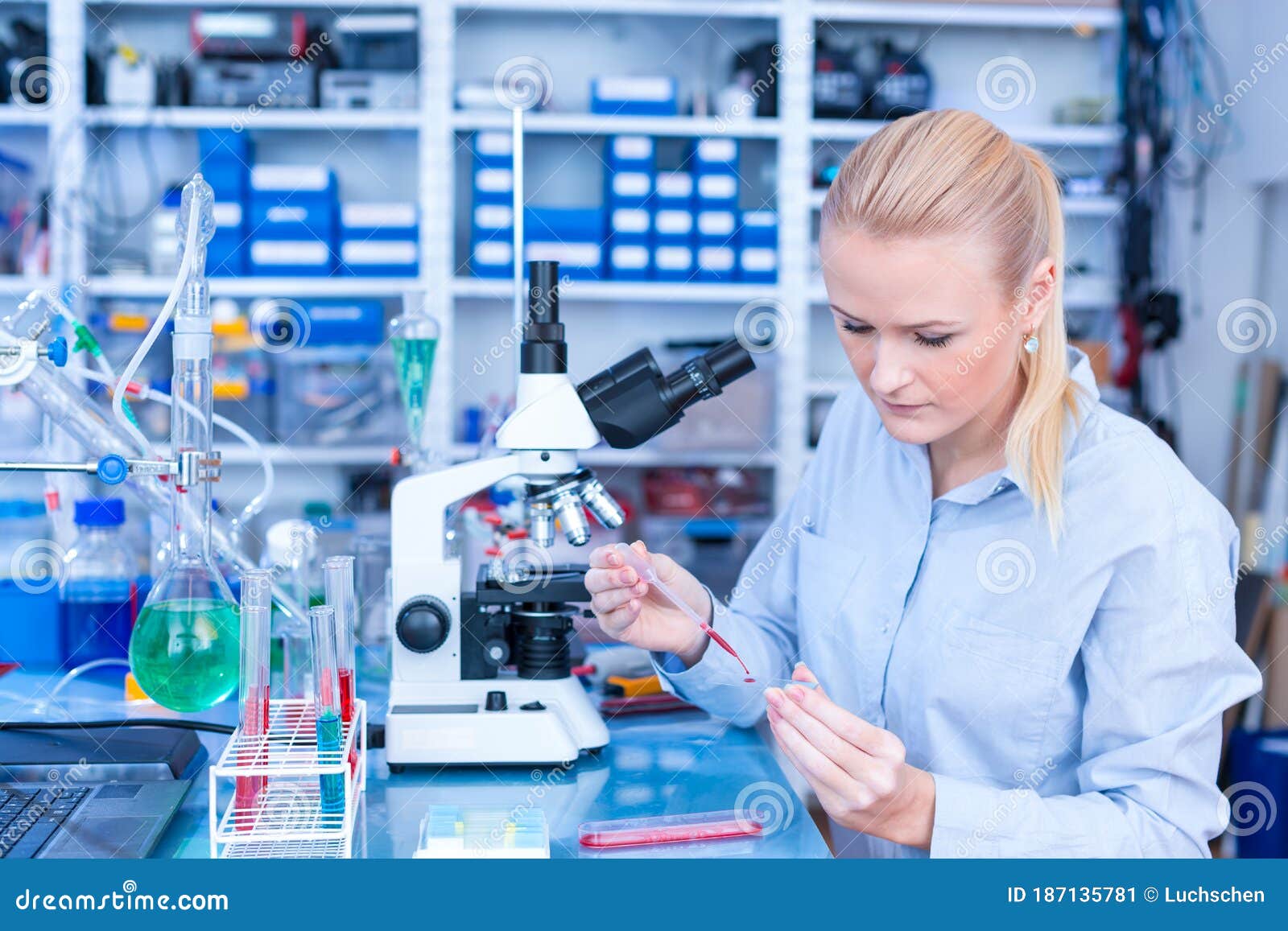 Laboratory Assistant Uses a Polarizing Microscope in a Microbiological ...