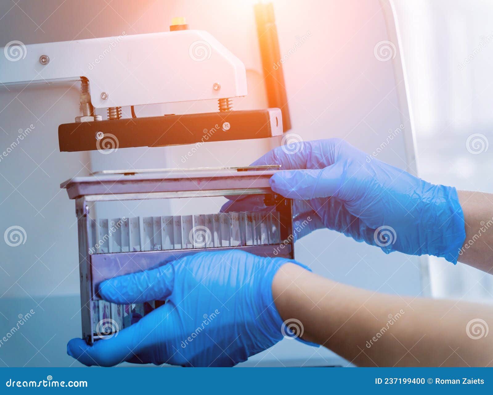 Laboratory Assistant Works with Automatic Multi Slides Stainer at the ...