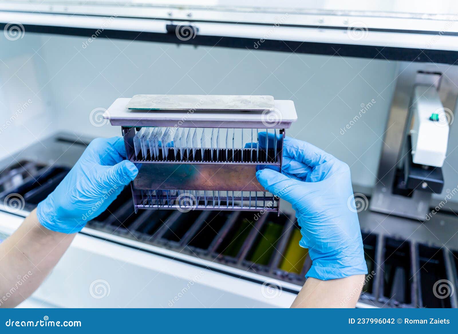 Laboratory Assistant Works with Automatic Multi Slides Stainer at the ...