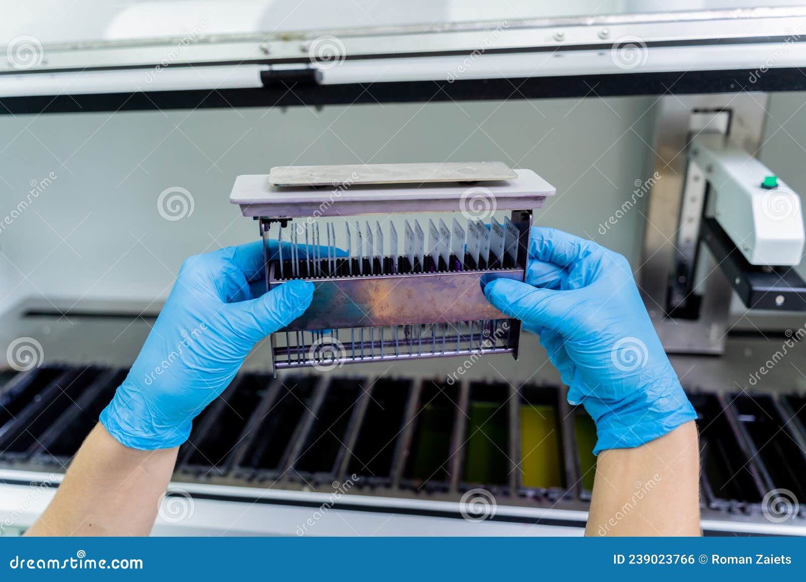 Laboratory Assistant Works with Automatic Multi Slides Stainer at the ...