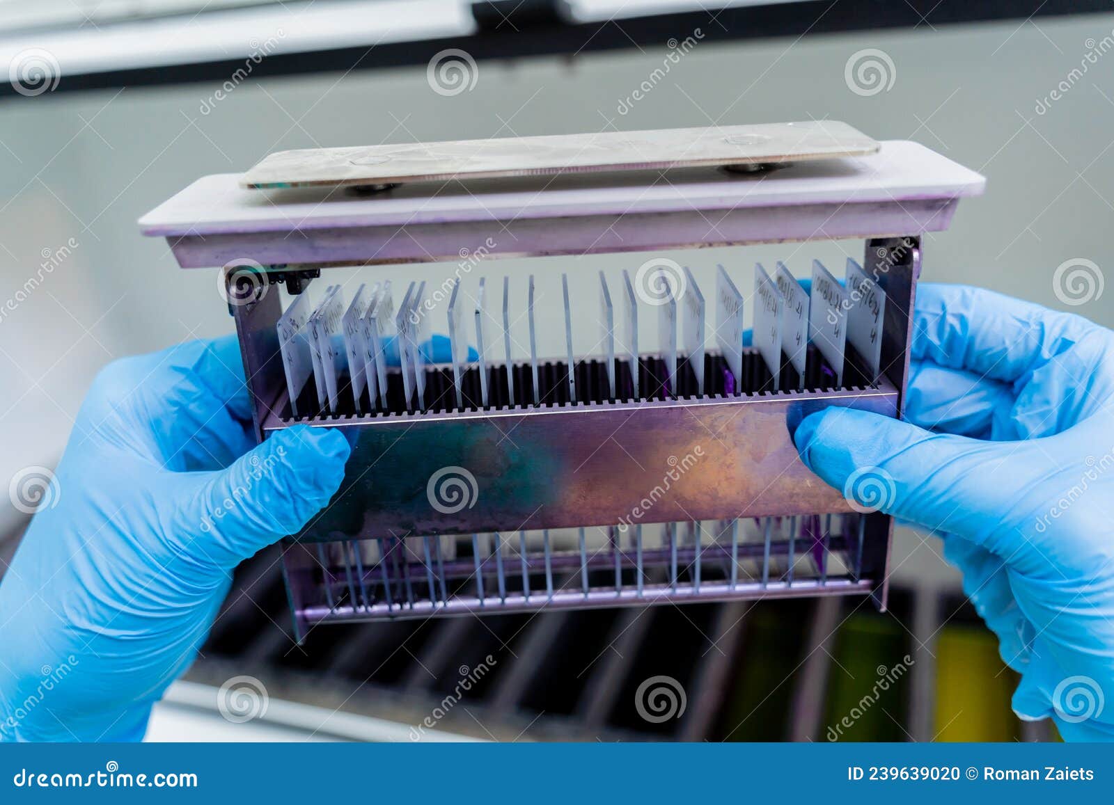 Laboratory Assistant Works with Automatic Multi Slides Stainer at the ...