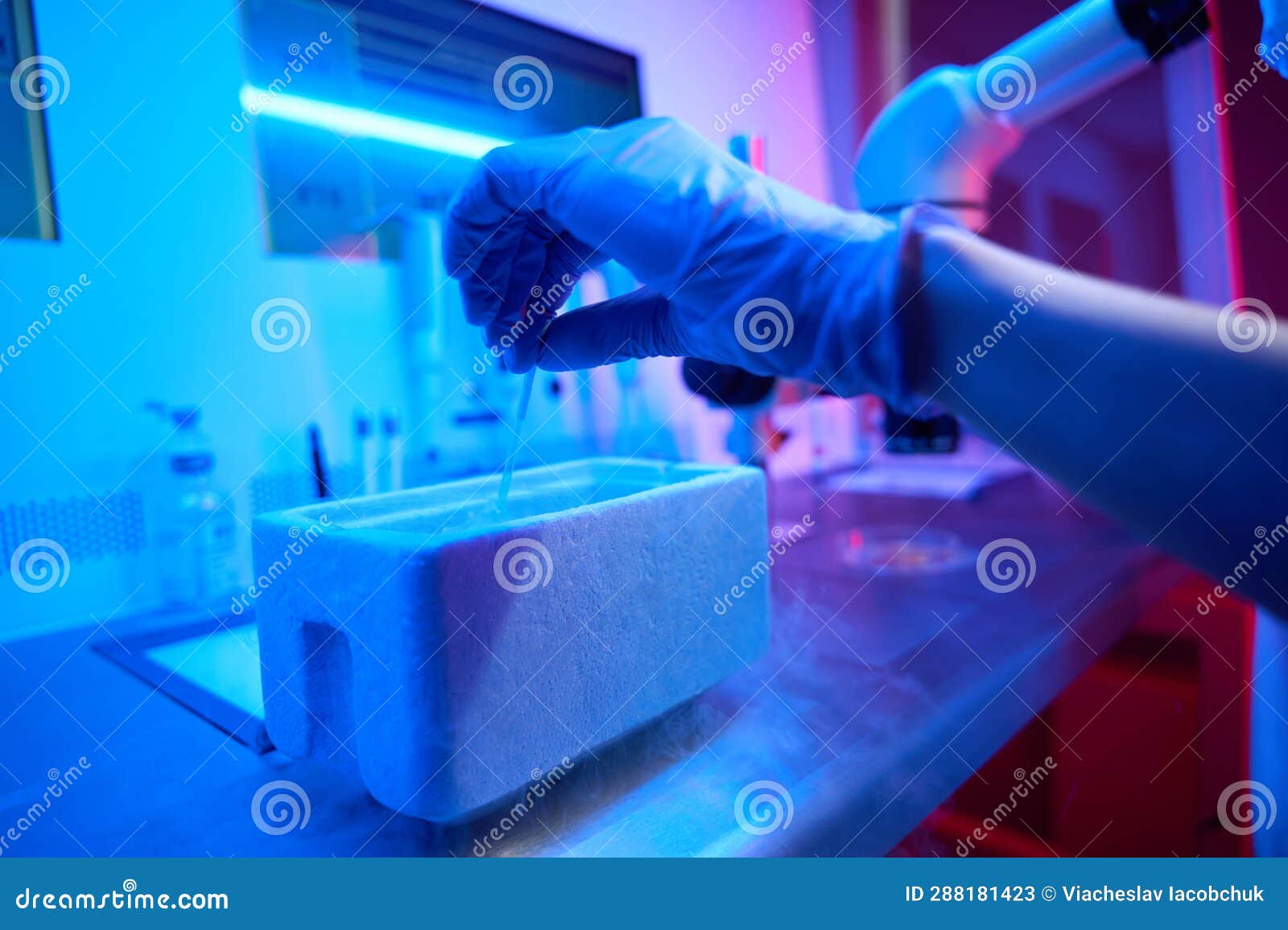 Laboratory Assistant Works with Biomaterial Under a Powerful Microscope ...