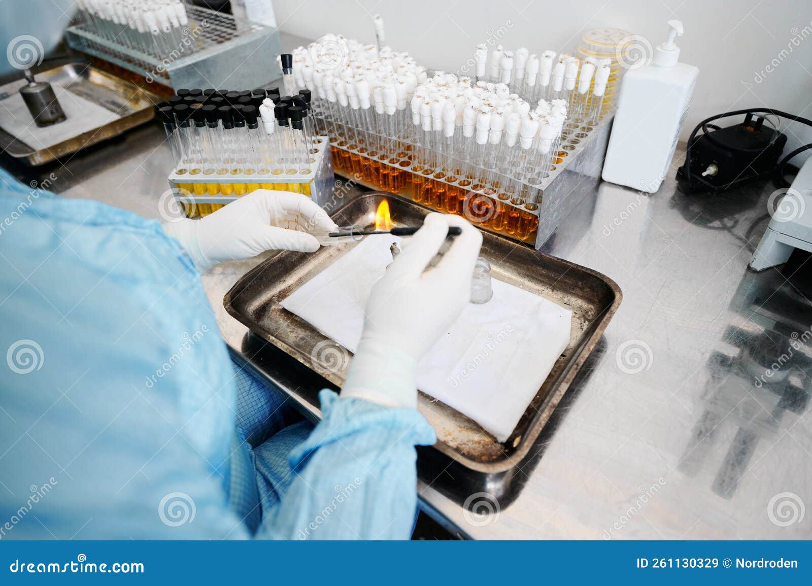 Laboratory Assistant Works on Creating Bacterial Culture Stock Image ...