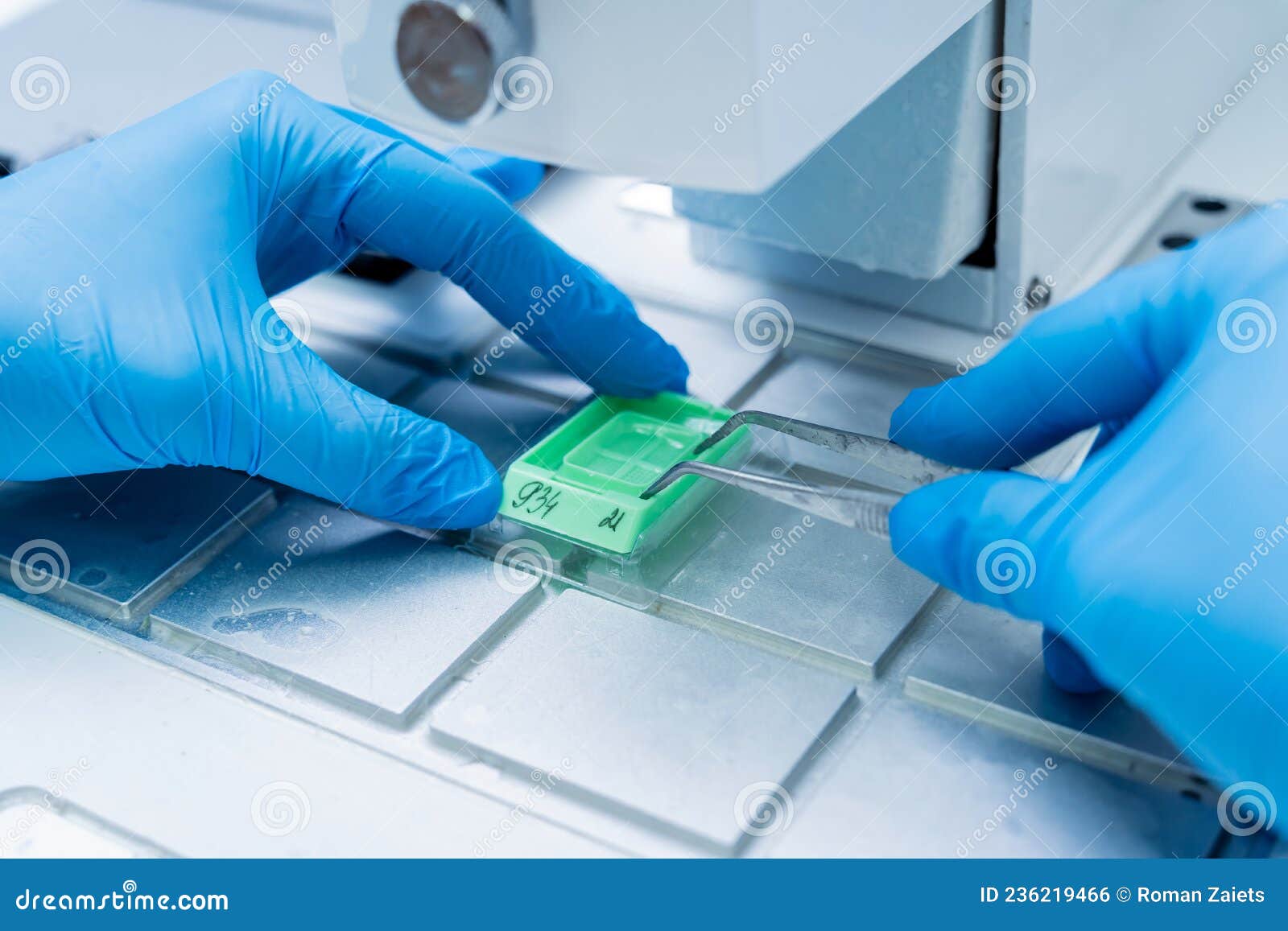 Histology Paraffin Embedded Tissue Samples Into A Slide Stock Photo ... Histology Paraffin Embedded Tissue Samples Into A Slide Stock Photo ...