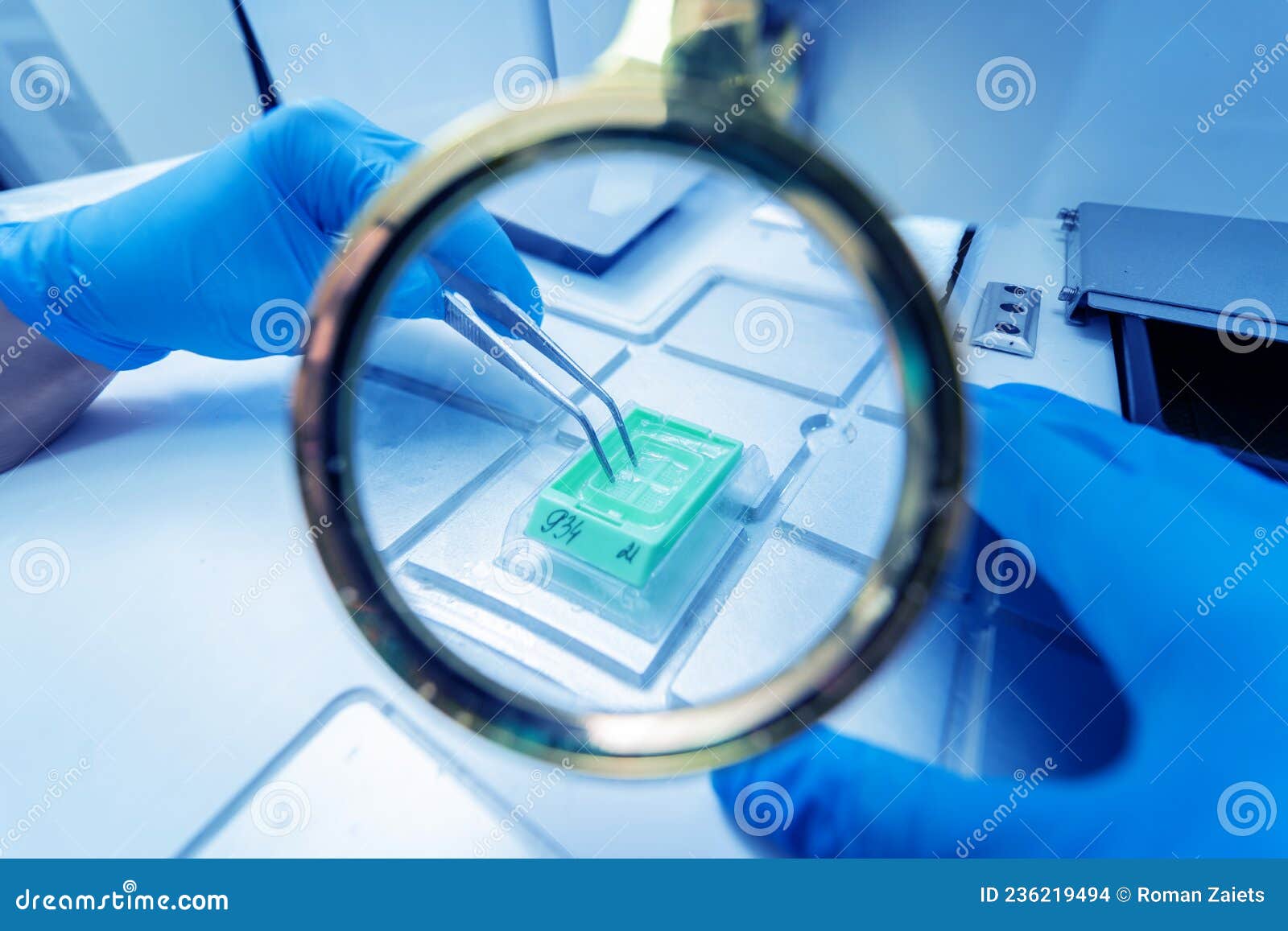 Laboratory Assistant Works at Paraffin Wax Dispenser Tissue Embedding ...