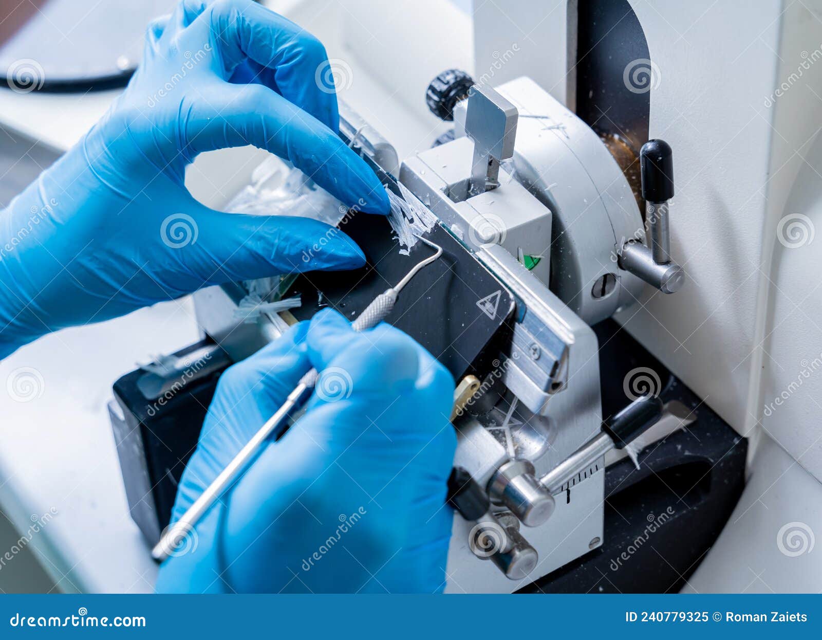 Laboratory Assistant Works on a Rotary Microtome Section and Making ...