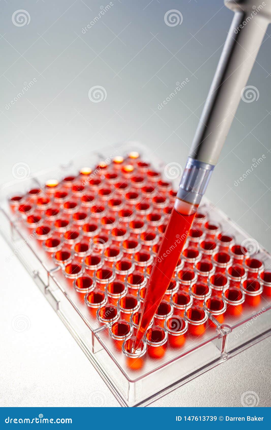 Red Solution or Blood Scientific Research with a Pipette and Cell Plate ...