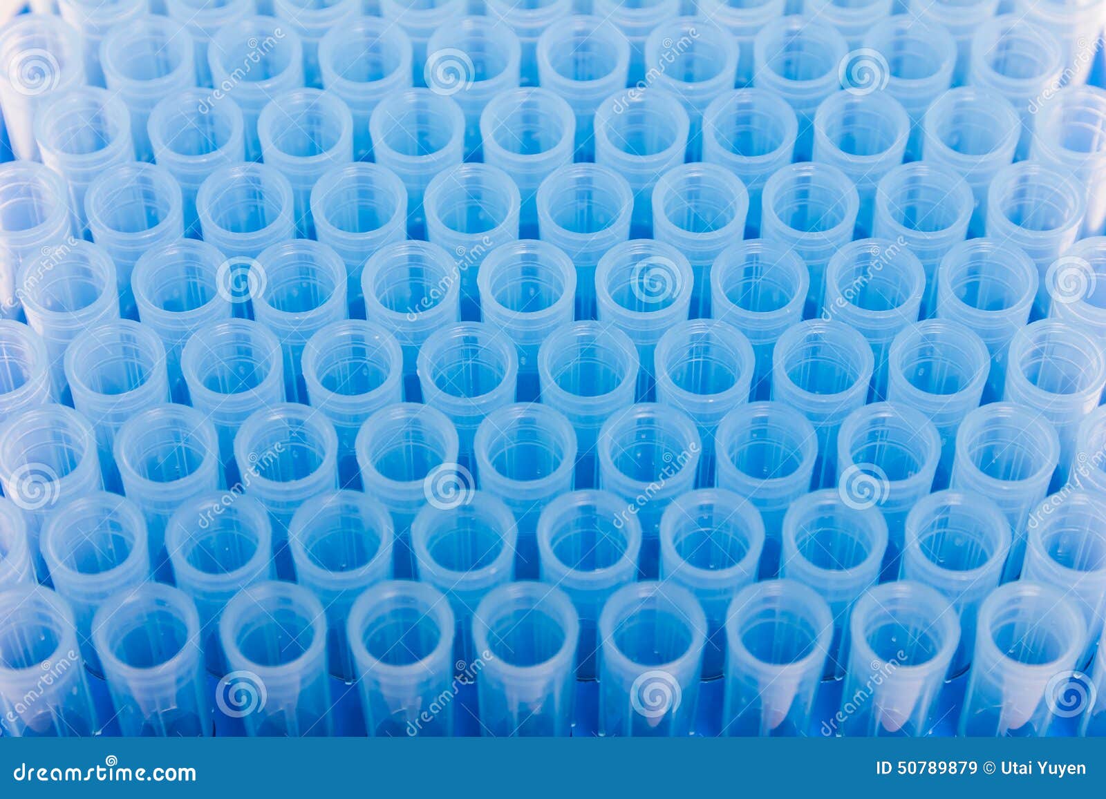 Laboratory blue tips stock image. Image of measure, plastic - 50789879