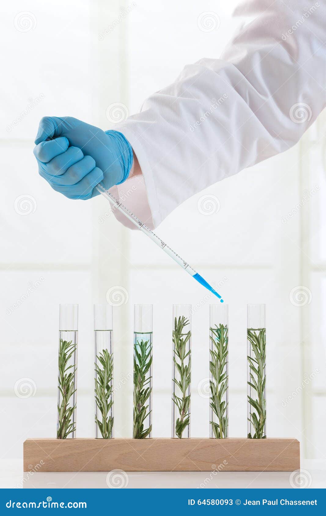 Laboratory Cloning Experiment on Plants Stock Image - Image of chemical ...