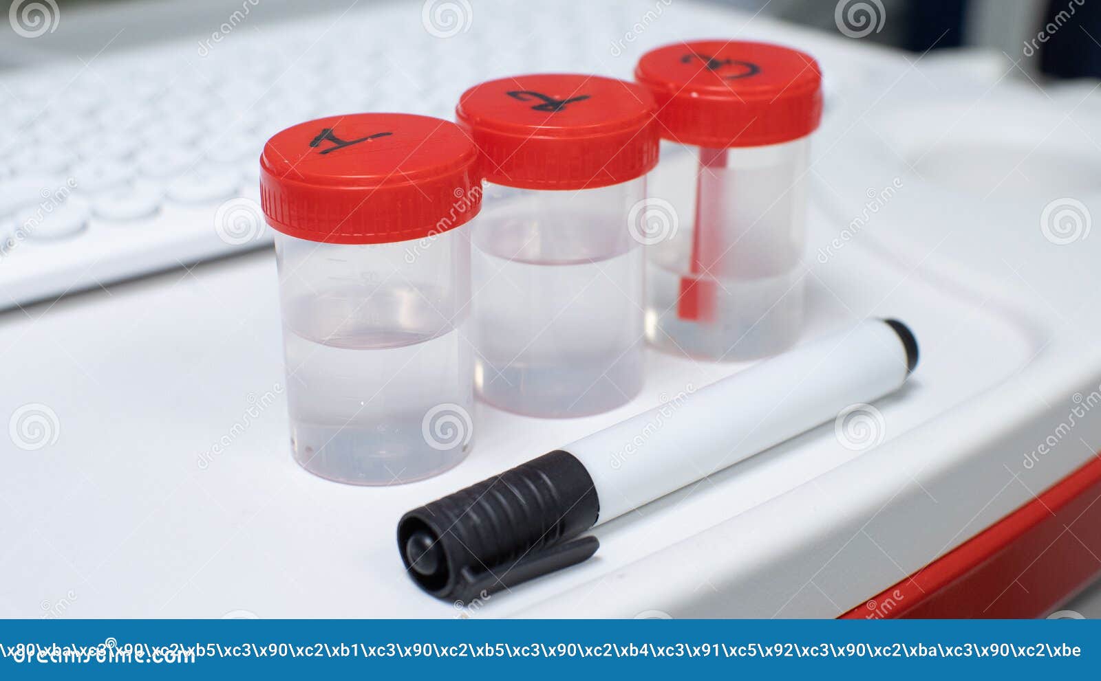 Laboratory Containers for Collecting Biological Material for Research ...