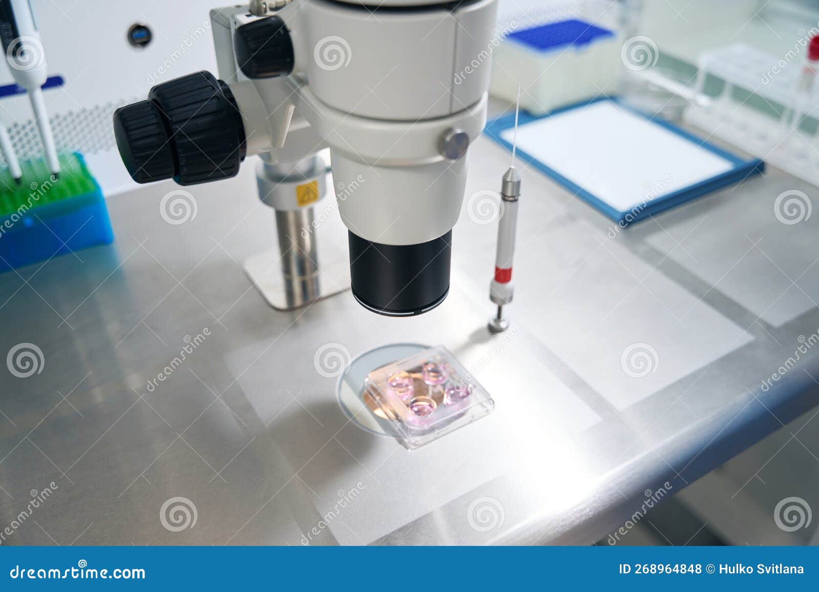 Laboratory Devices for the Procedure of Artificial Insemination Stock ...