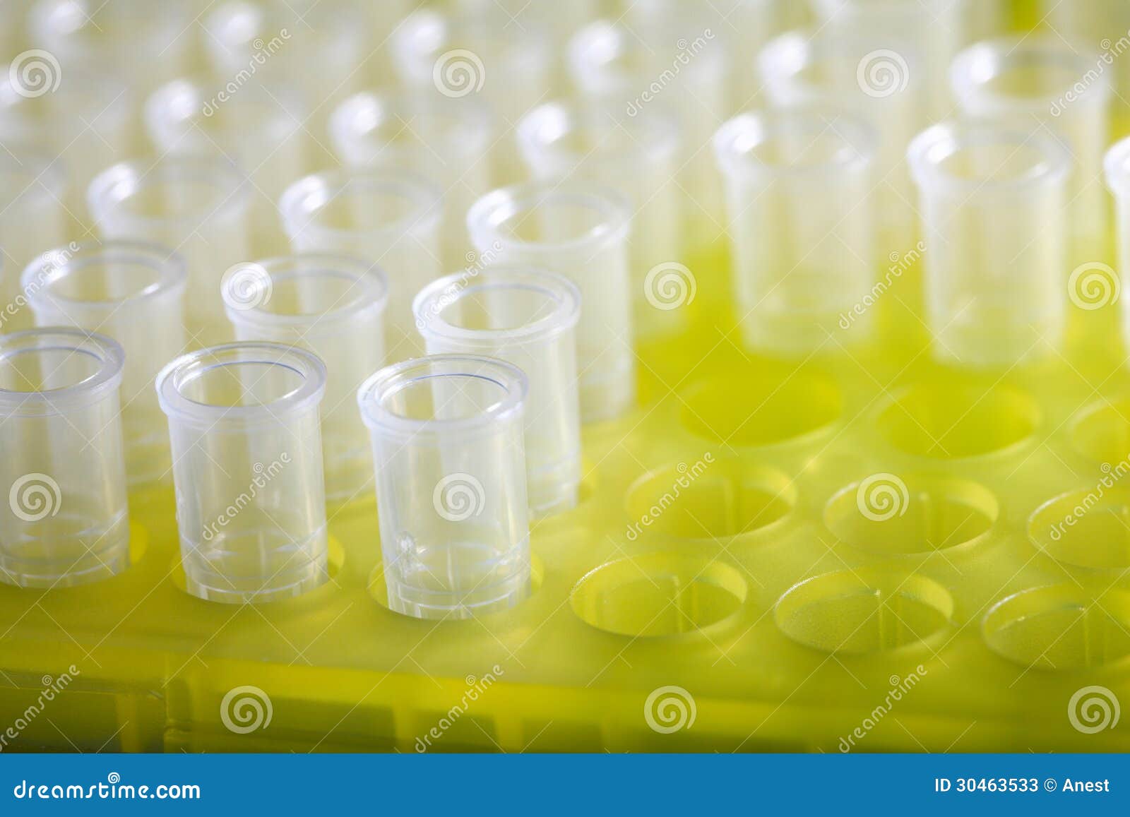 Laboratory Disposable Tubes in Holder Stock Image - Image of ...