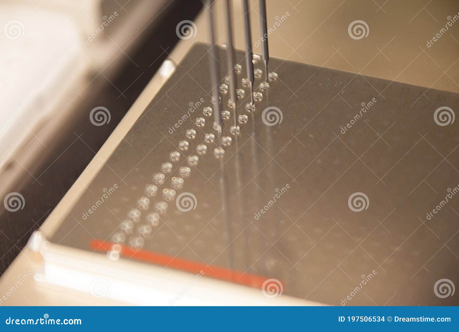 Laboratory DNA Samples Load To Plate for PCR Analysis Stock Photo ...