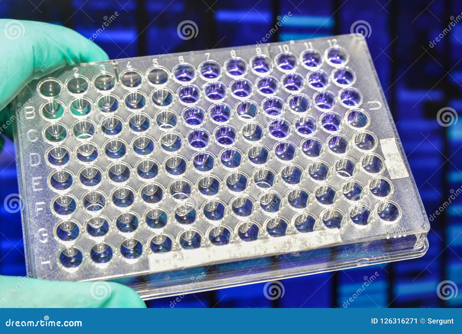 Laboratory DNA testing. stock image. Image of laboratory - 126316271