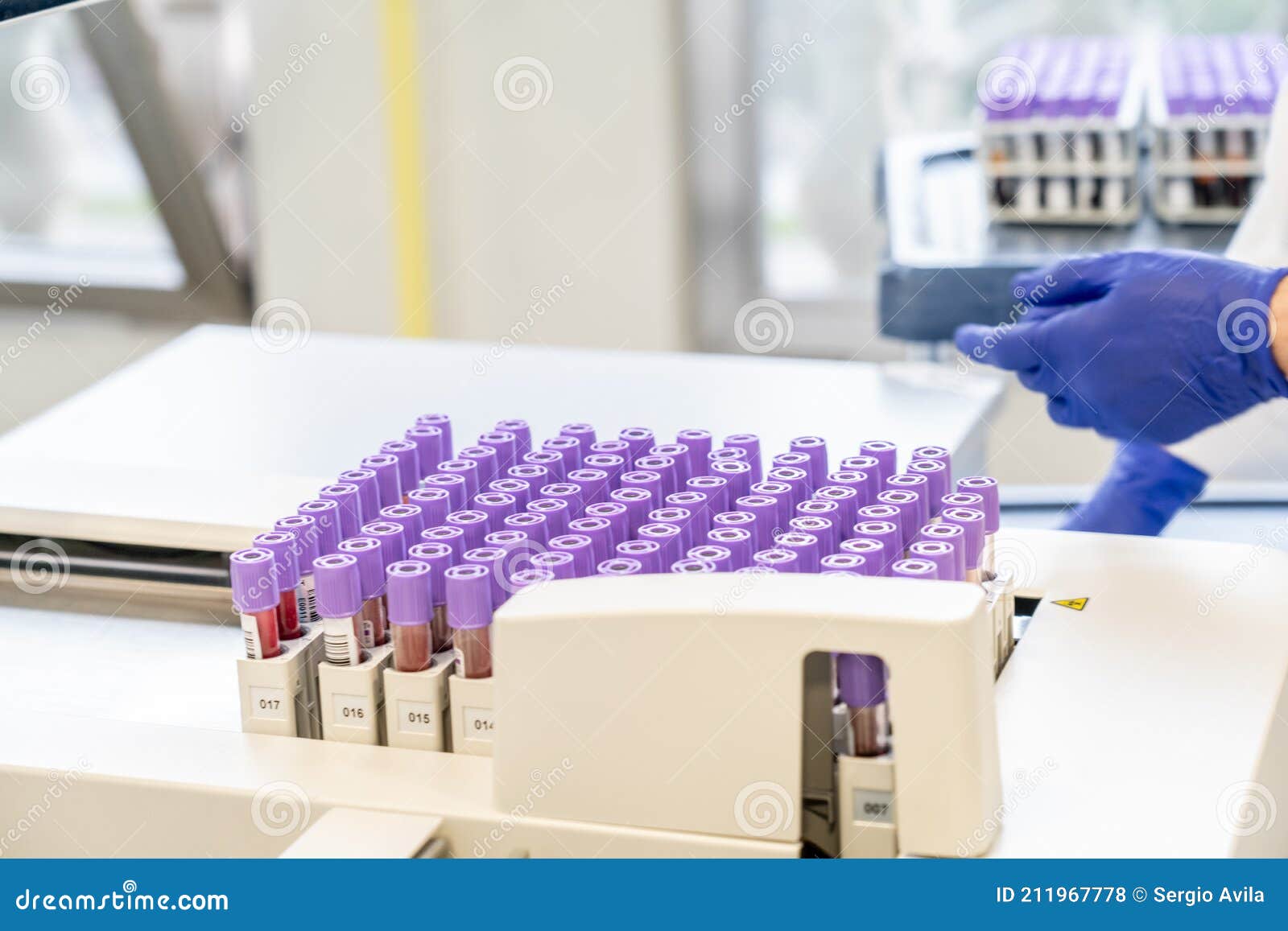 Woman in Laboratory Doing Tests for Vaccine Blood Extraction and ...