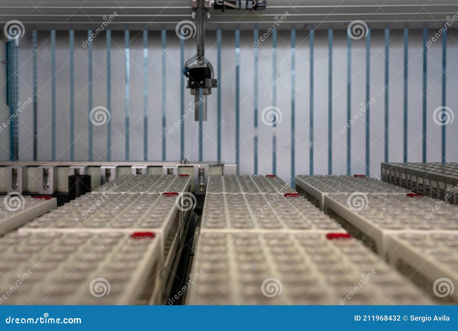 Woman in Laboratory Doing Tests for Vaccine Blood Extraction and ...