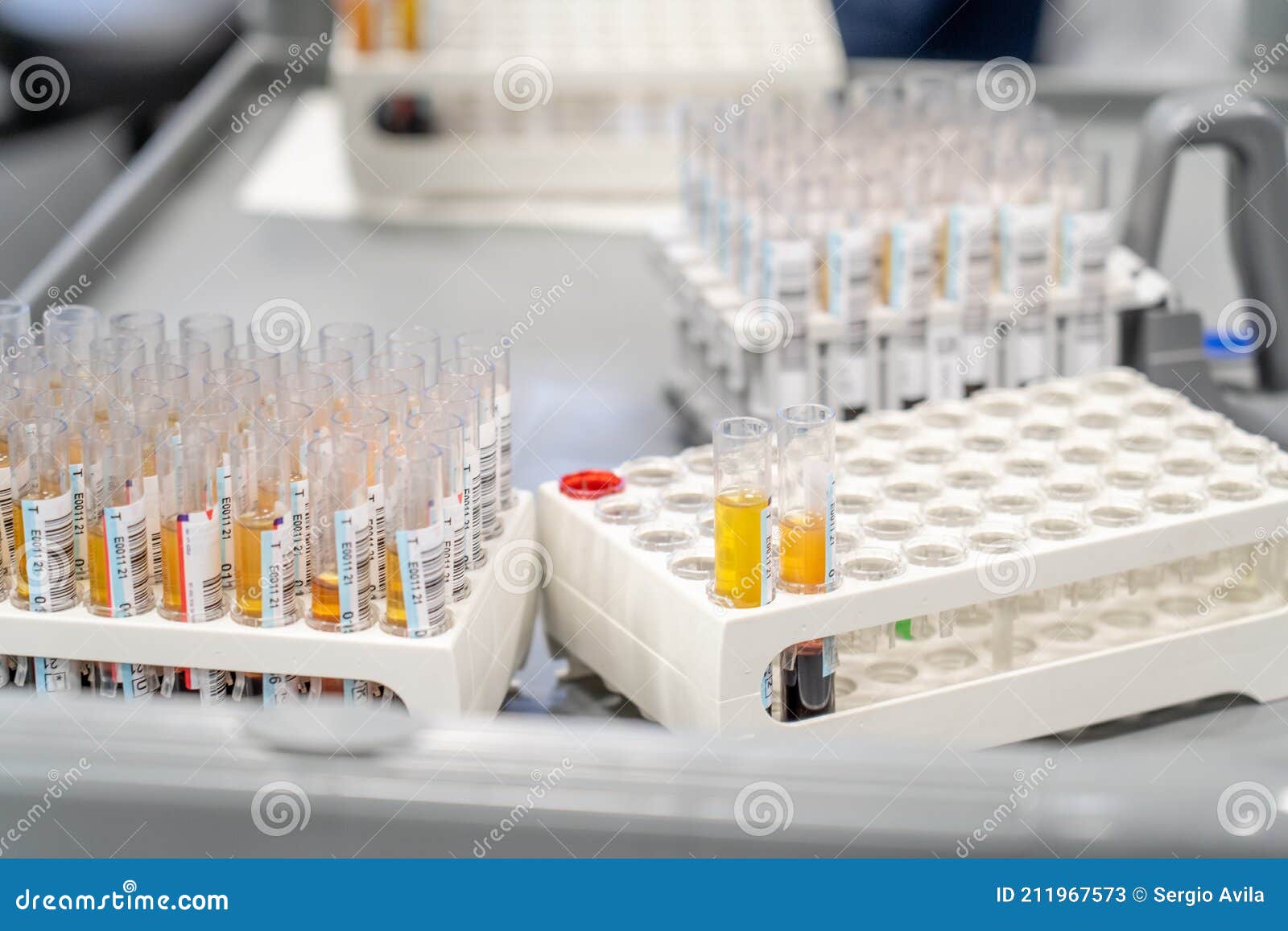 Laboratory Doing Tests for Vaccine Blood Extraction and Analytical ...