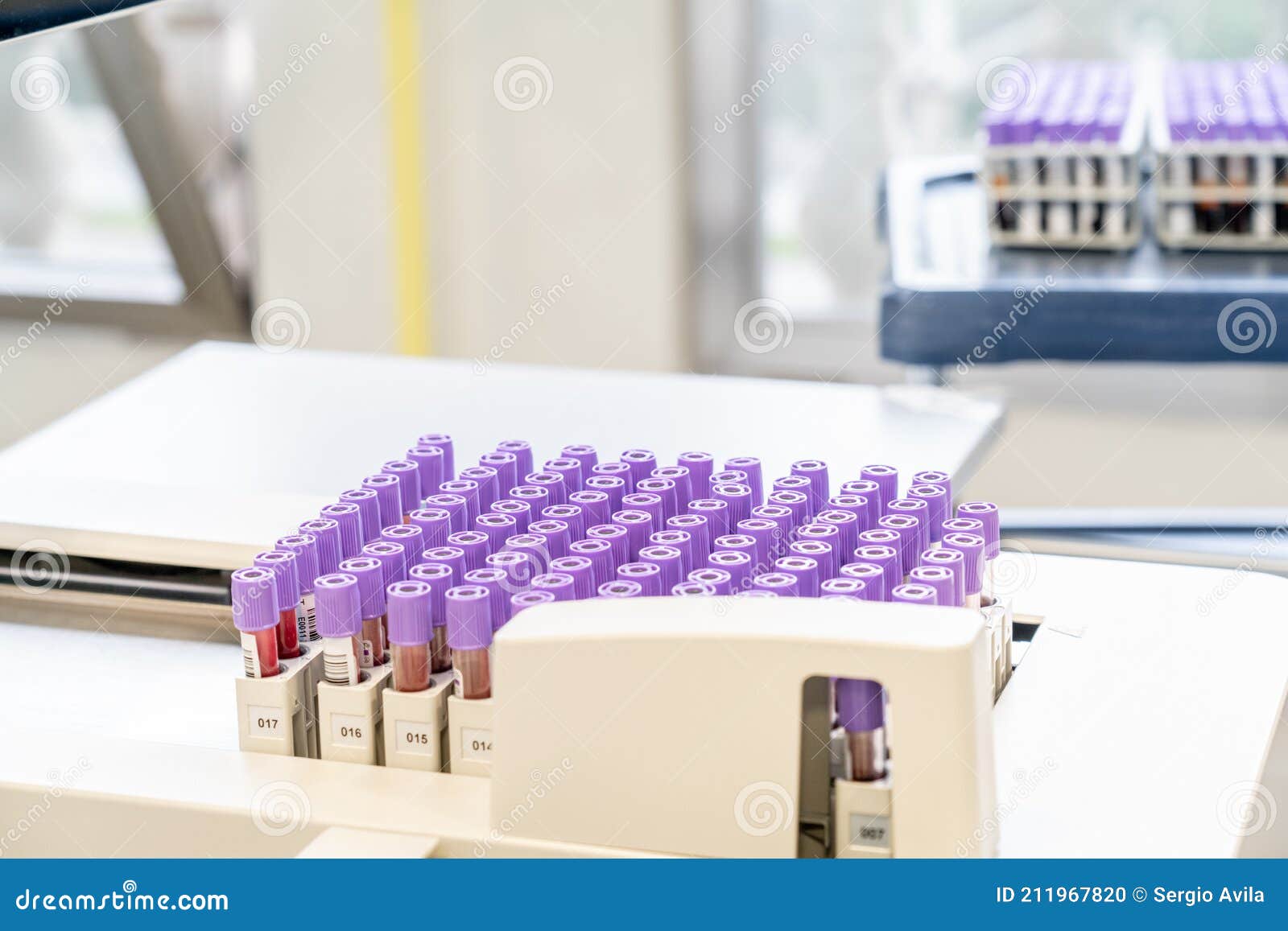 Laboratory Doing Tests for Vaccine Blood Extraction and Analytical ...