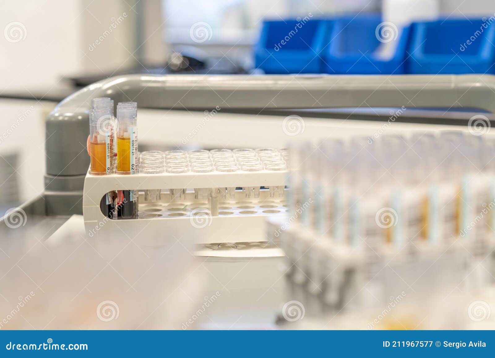 Laboratory Doing Tests for Vaccine Blood Extraction and Analytical ...