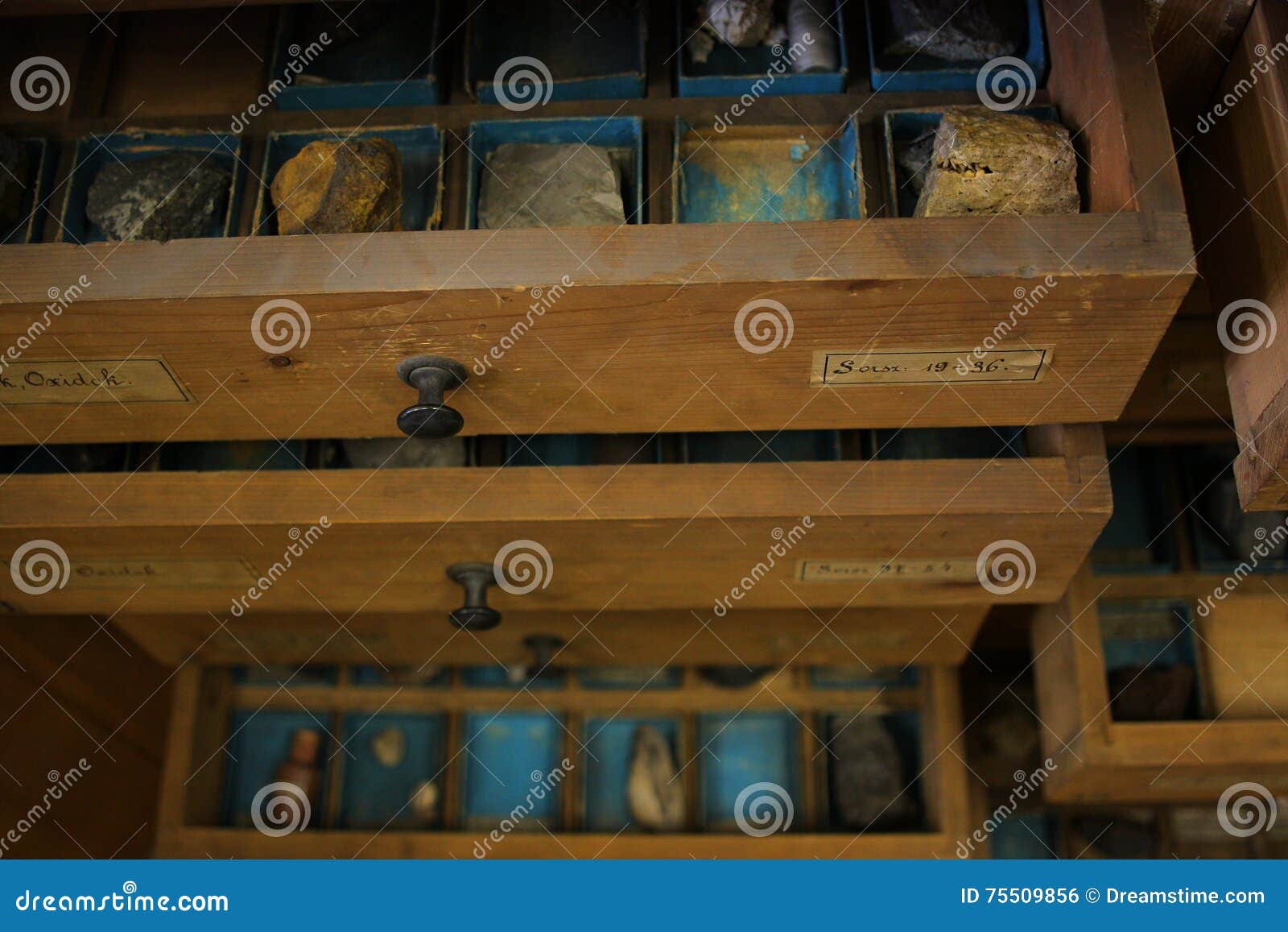 Laboratory drawers stock photo. Image of wooden, label - 75509856