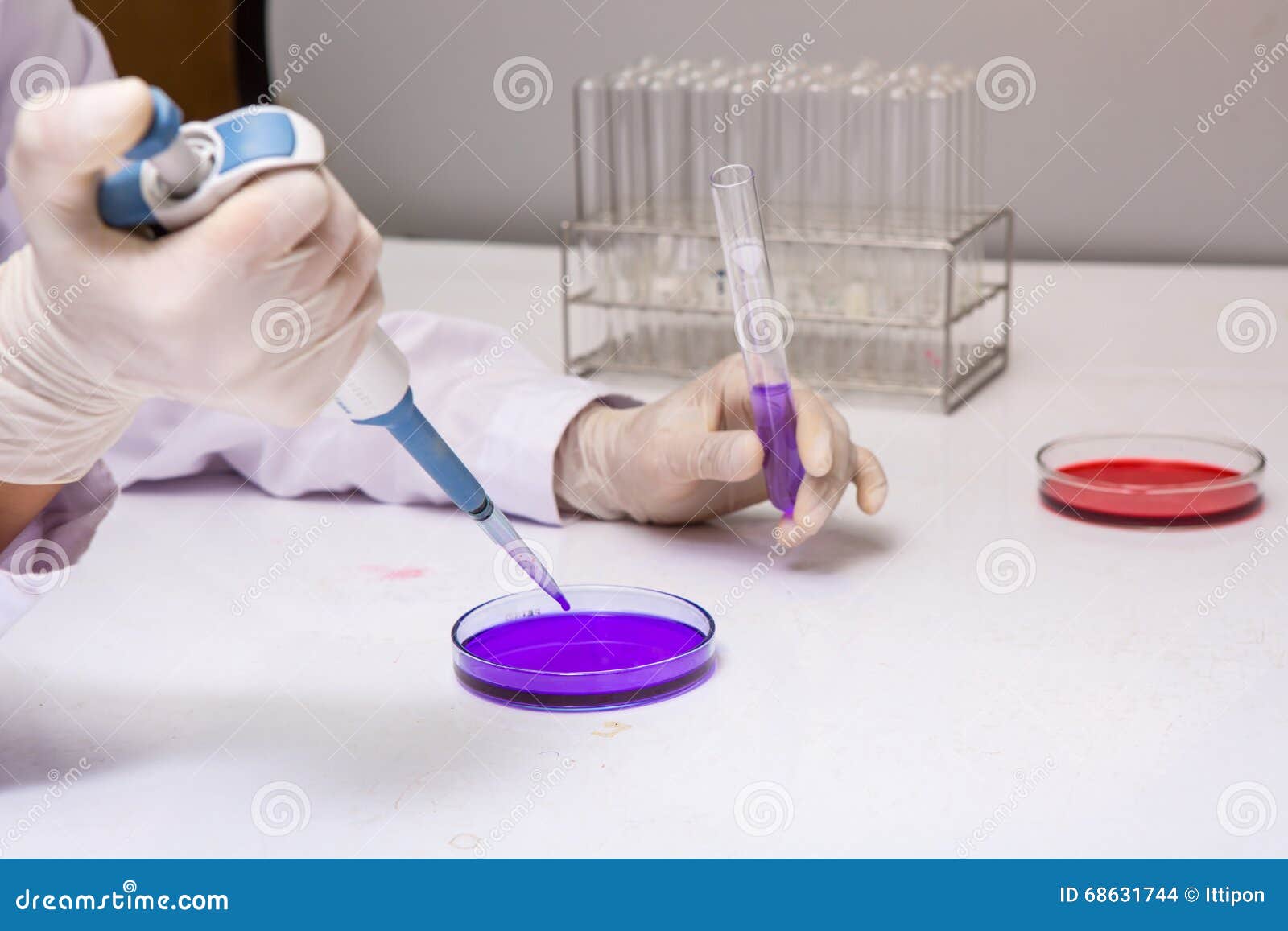 Laboratory Droper of Liquid Stock Photo - Image of agar, medical: 68631744