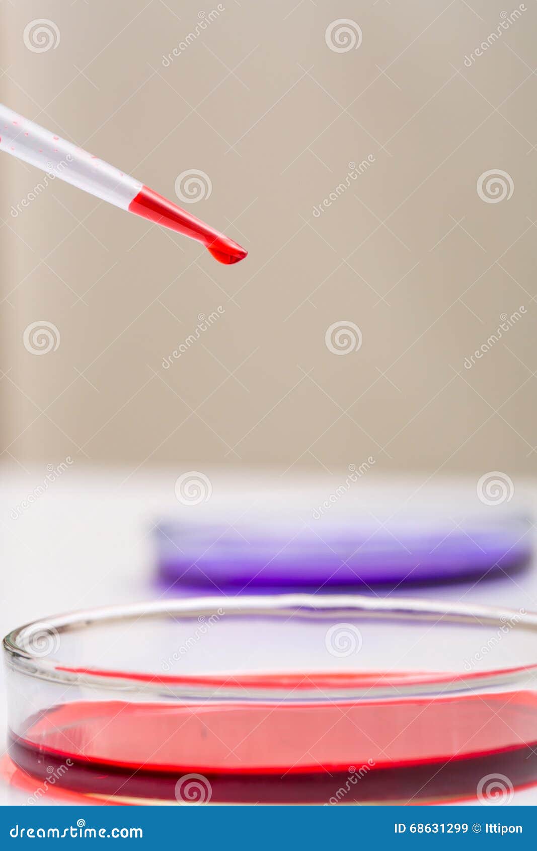 Laboratory Droper of Red Liquid Stock Image - Image of diagnostic ...