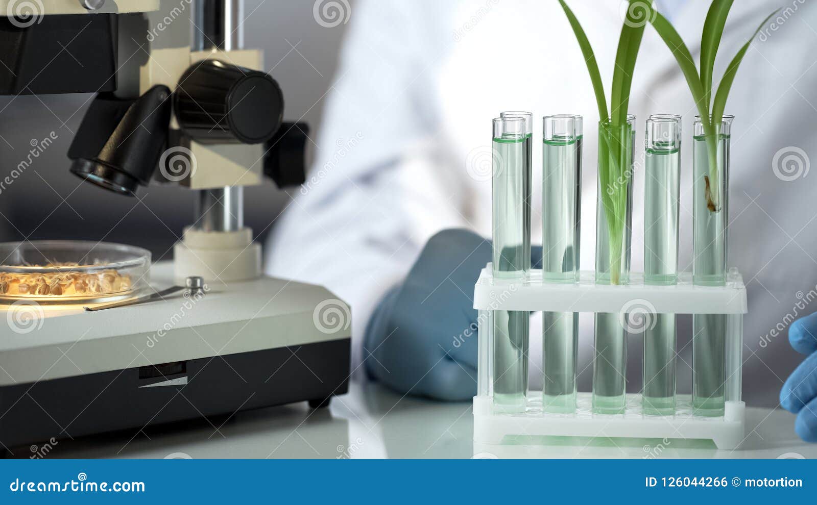 Laboratory Engineer Inventing Substance that Accelerates Germination of ...