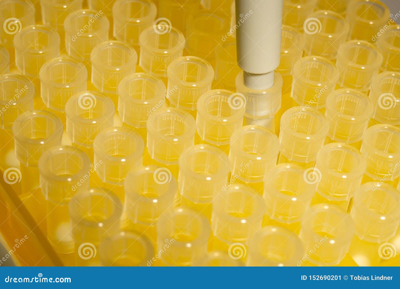 Laboratory Equipment - Pipettes Tip - Science and Research Stock Image ...