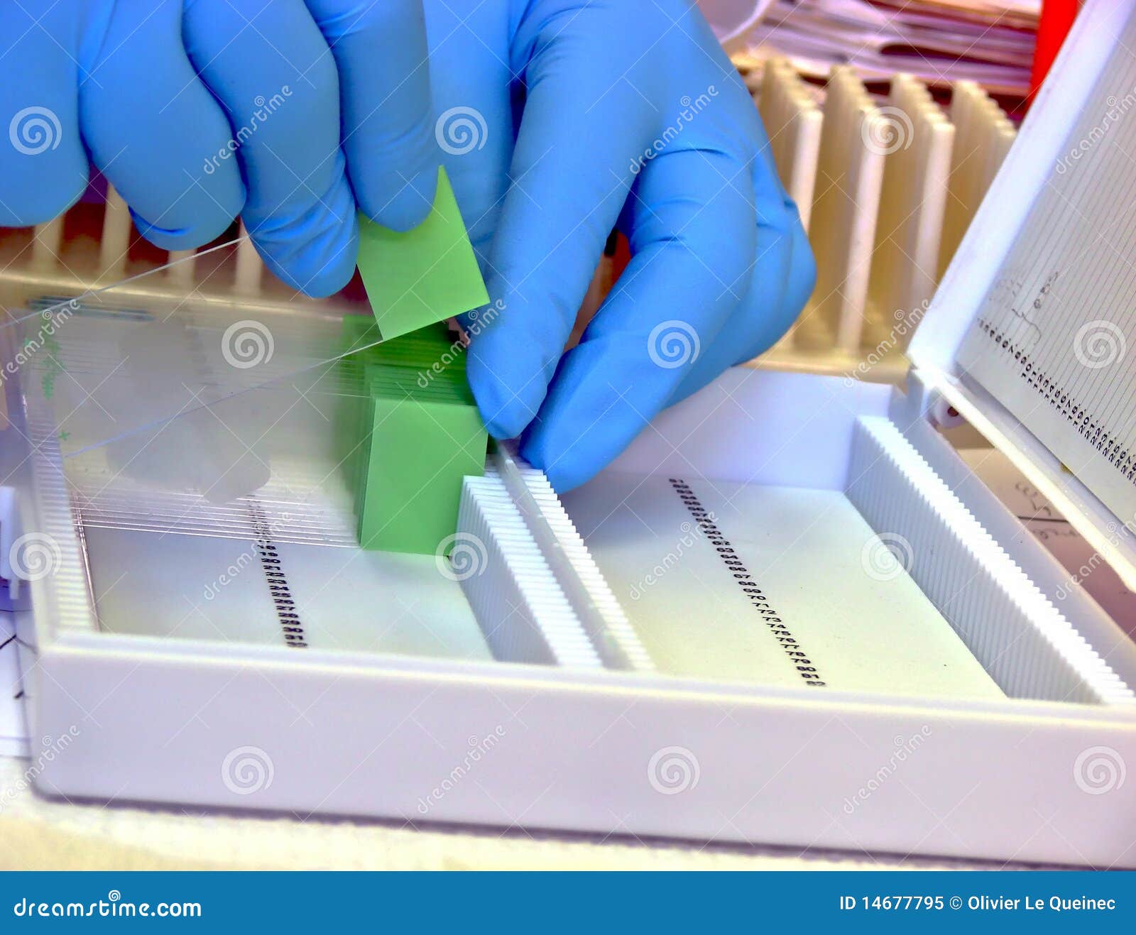 Laboratory Equipment in Science Research Lab Stock Image - Image of ...