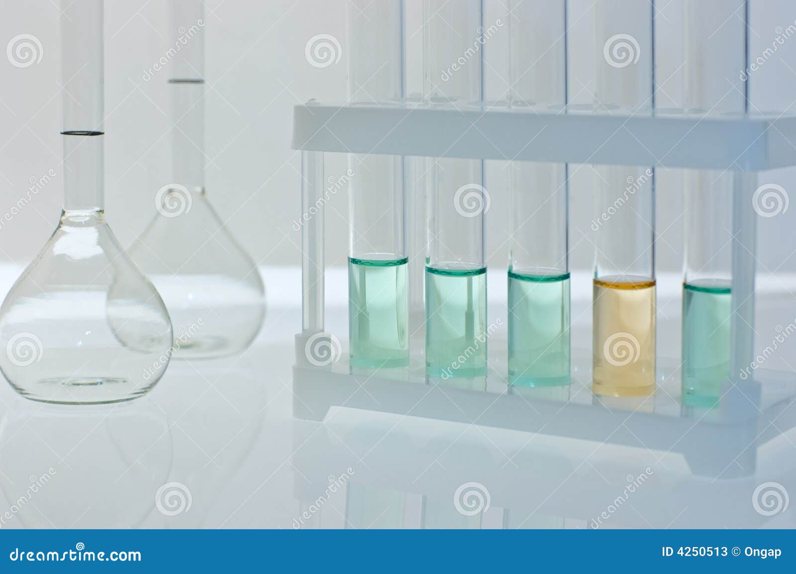 Laboratory Experiment With Petri Dish And DNA Sample Using Pipette ...