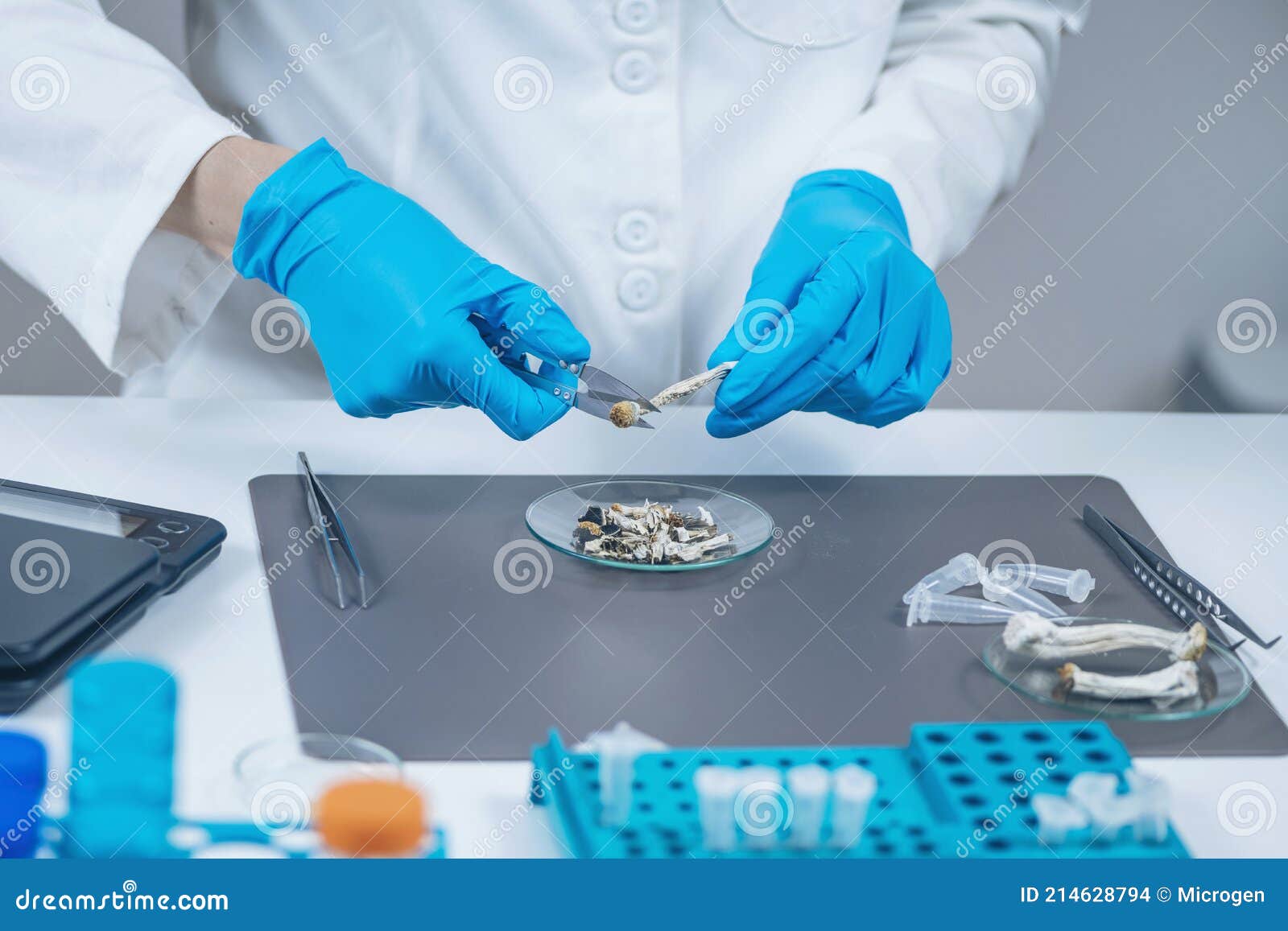 Laboratory Experiment, Preparing Micro Doses Psilocybin, a Derivative ...